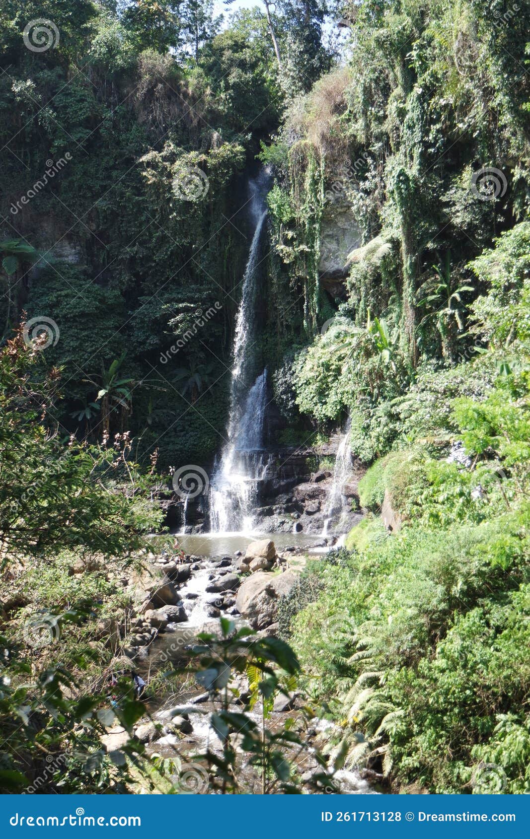 Cijalu Stock Photos - Free & Royalty-Free Stock Photos from Dreamstime