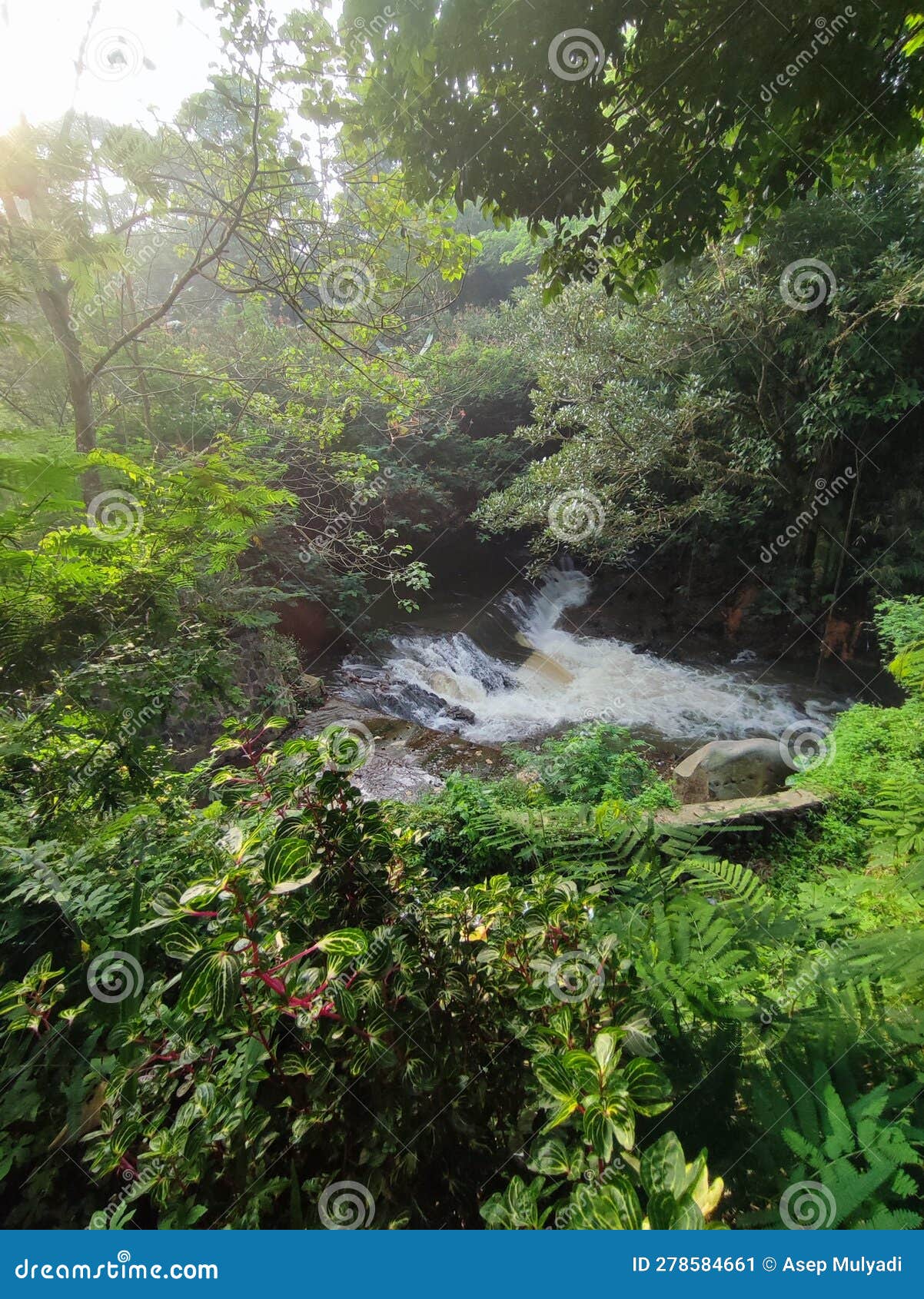 Cikapundung River stock image. Image of cikapundung - 278584661