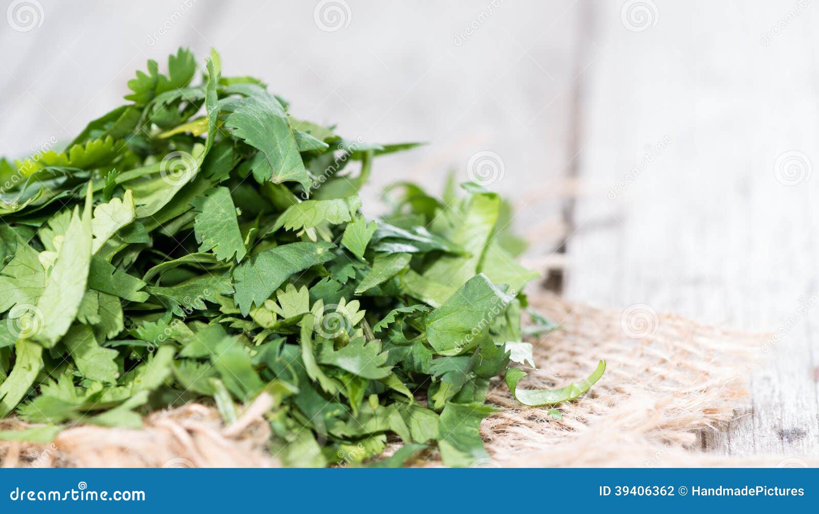 Cilantro photo stock. Image du sain, ingrédient, herbal - 39406362