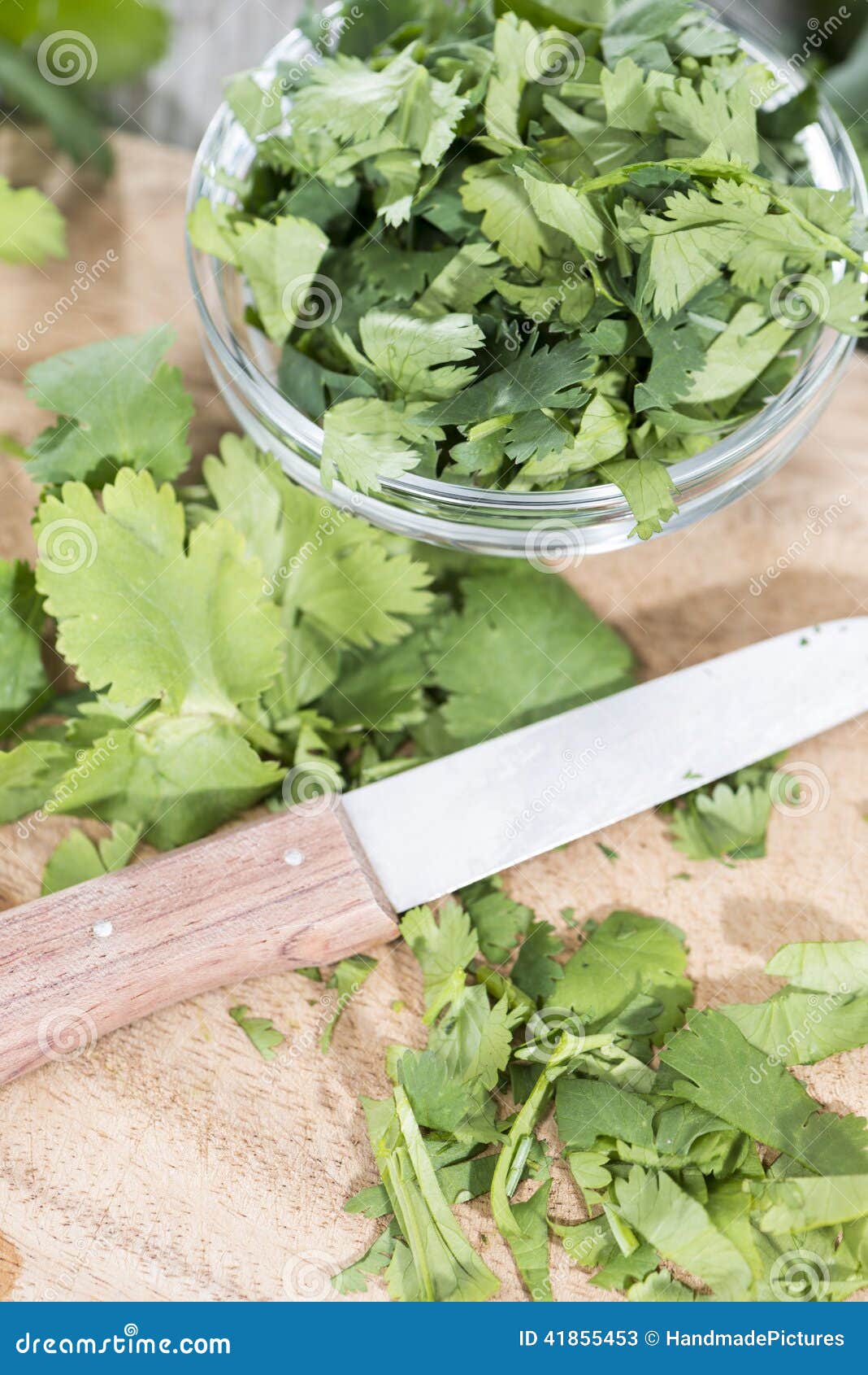Cilantro stock image. Image of plant, organic, portion - 41855453