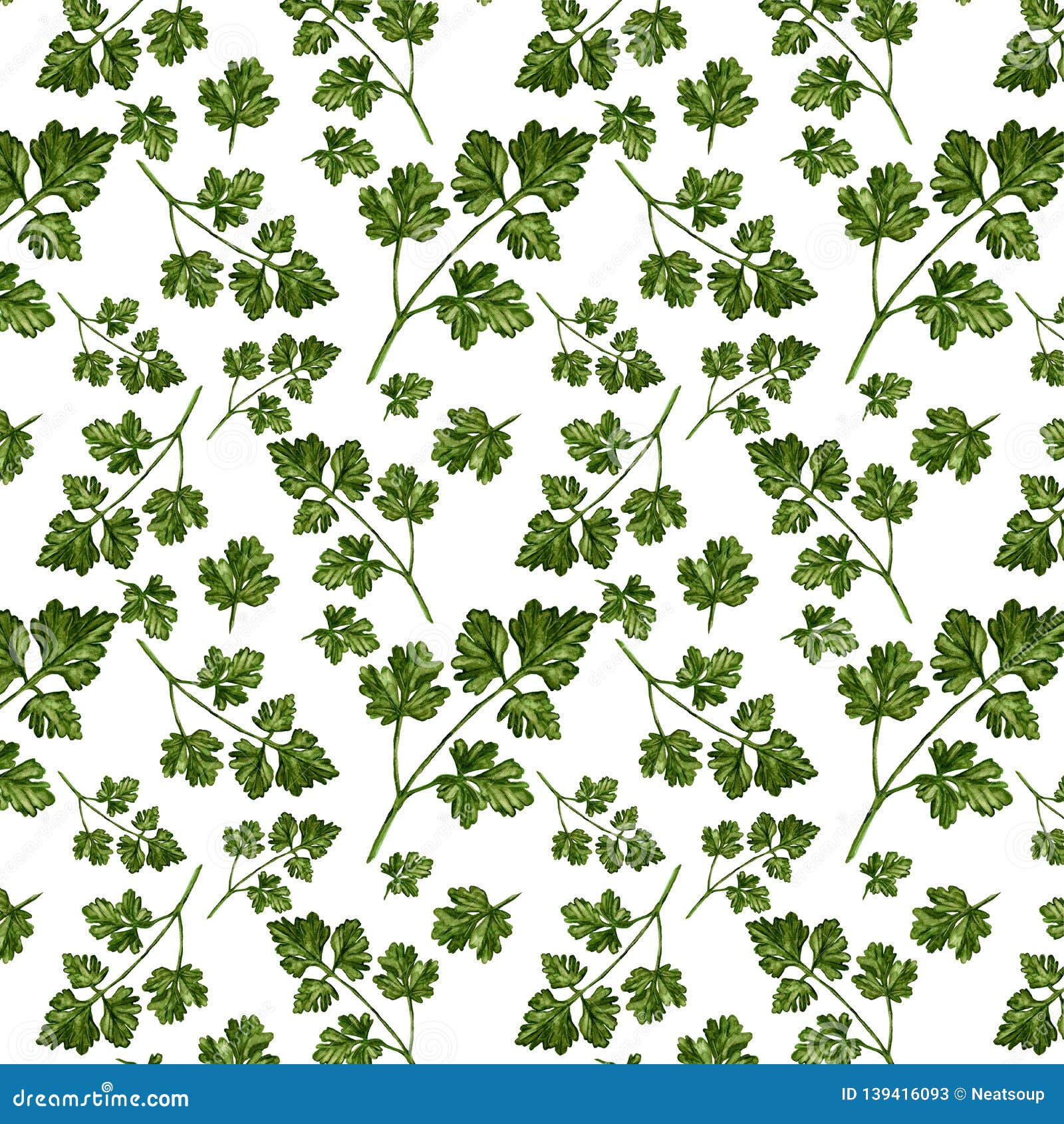 Cilantro - Hand Painted Watercolour Cartoon Vector | CartoonDealer.com ...