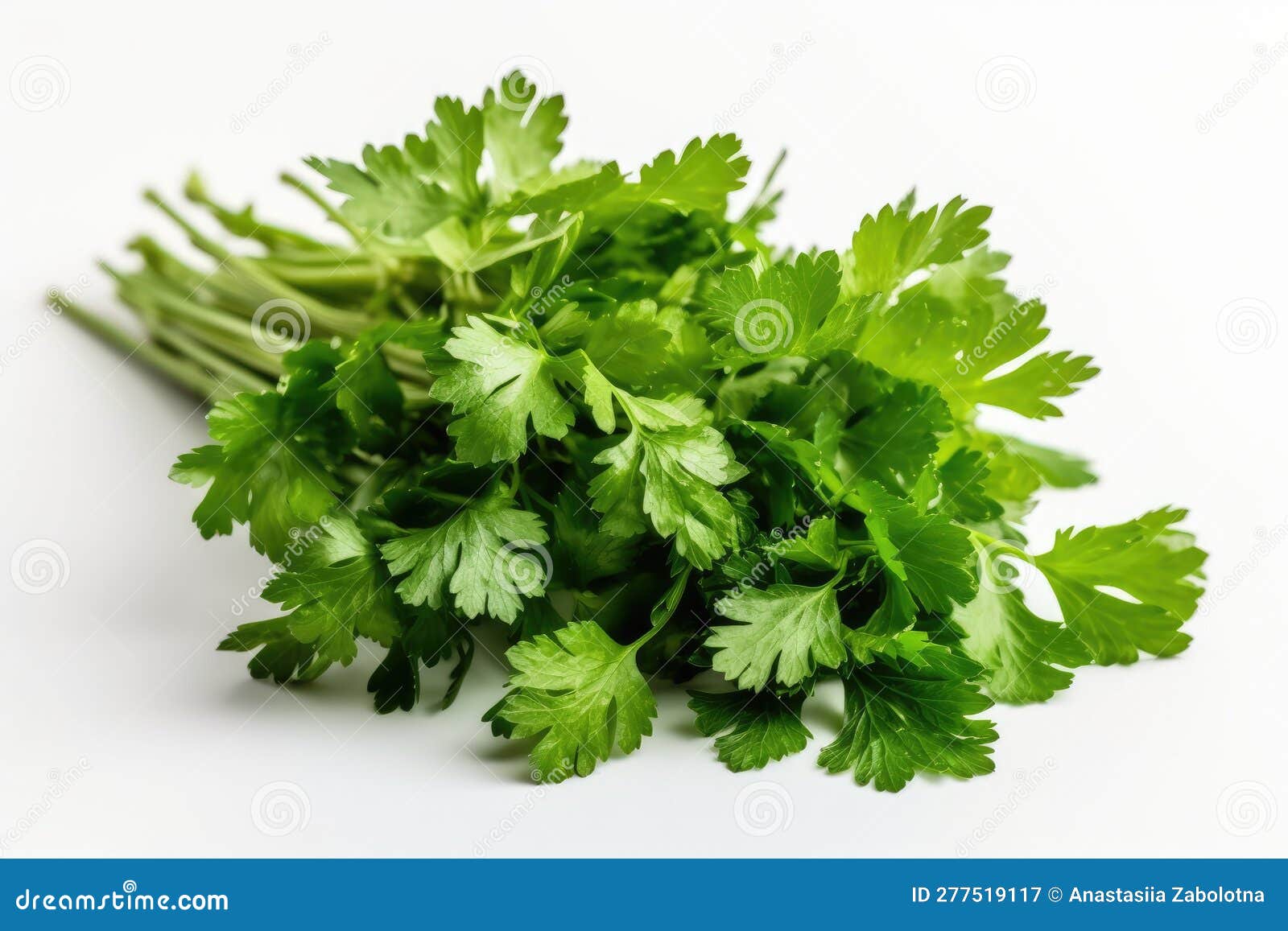 Cilantro Leaf on White Background. Generative AI Stock Illustration ...