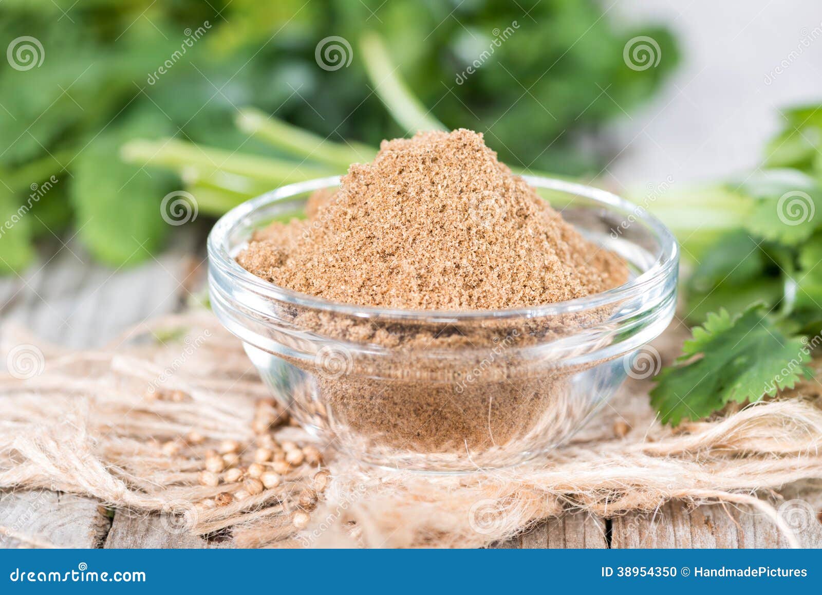 Cilantro Powder stock photo. Image of powder, dried, healthy - 38954350