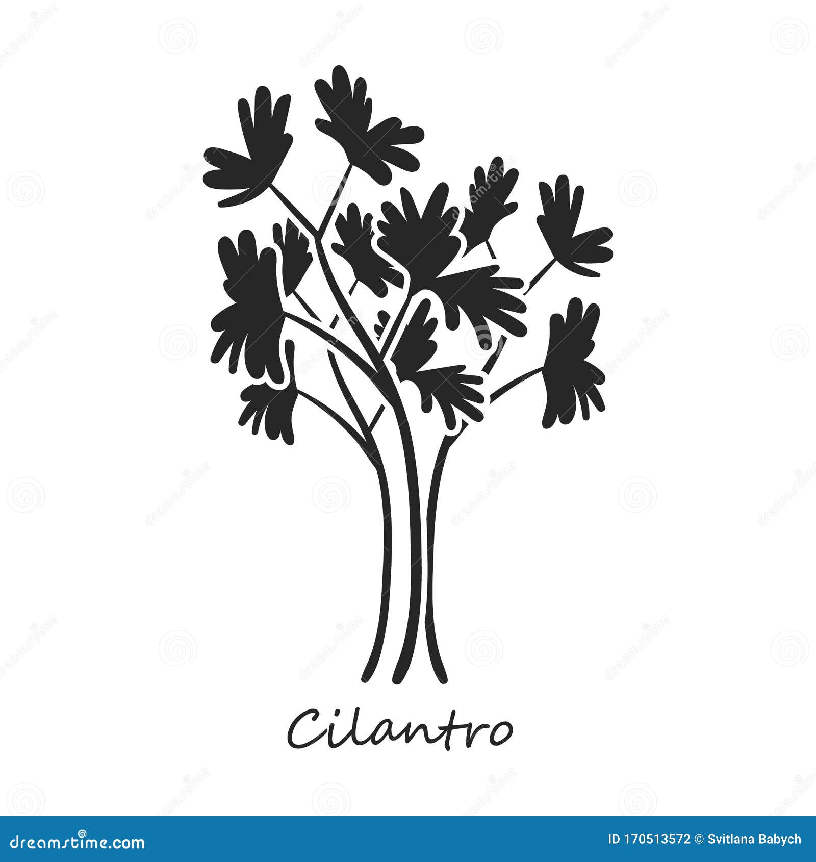 Cilantro Vector Icon.Black,simple Vector Icon Isolated on White ...
