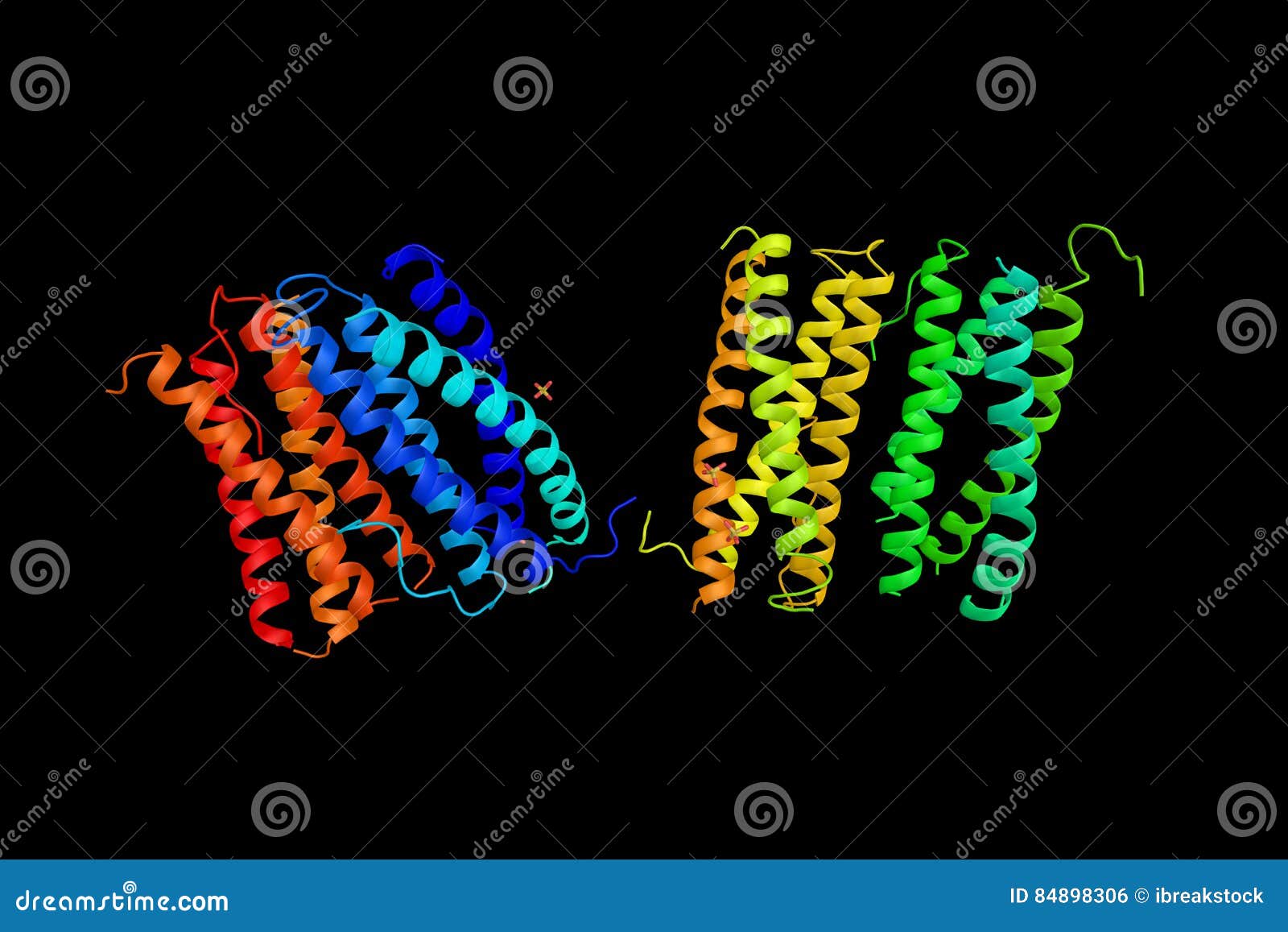 Ciliary Neurotrophic Factor, a Protein and a Potent Survival Factor for ...