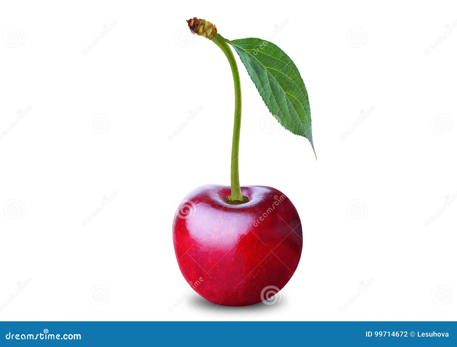 Ciliegia fotografia stock. Immagine di foglio, frutta - 99714672