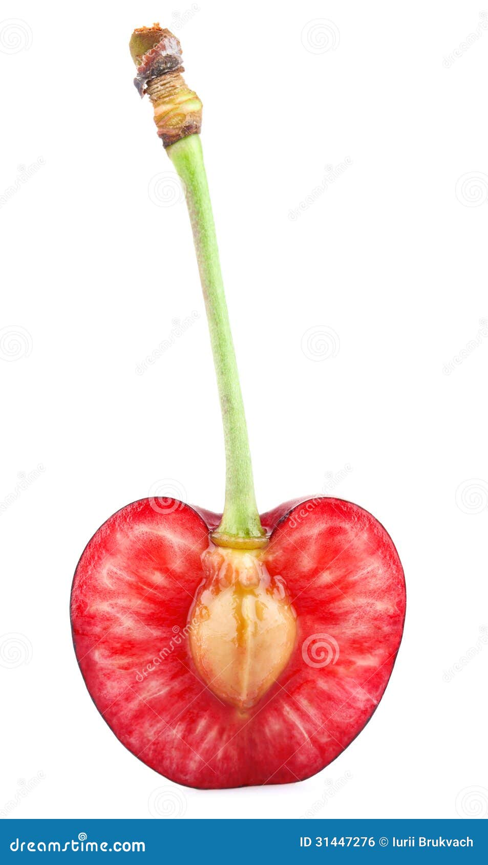 Ciliegia con il picciolo fotografia stock. Immagine di sugoso - 31447276