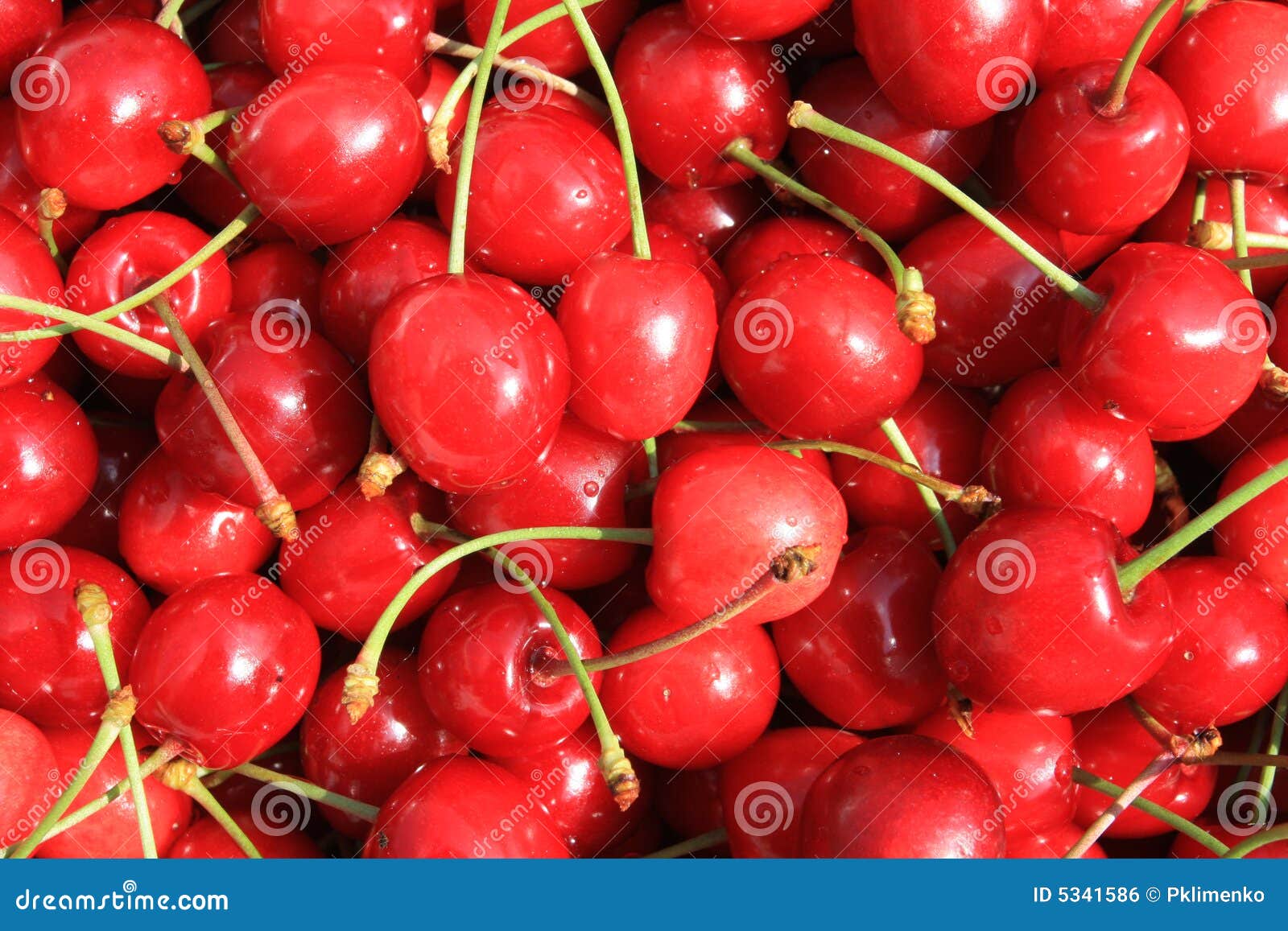 Ciliegia fresca rossa fotografia stock. Immagine di frutte - 5341586