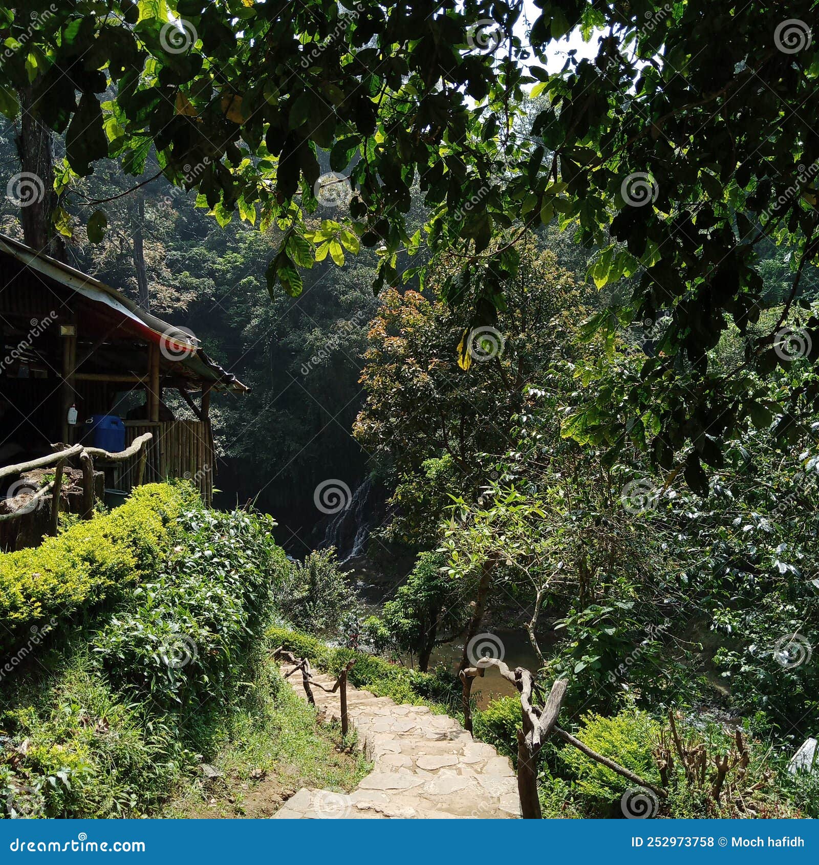 Layung Waterfall Stock Photos - Free & Royalty-Free Stock Photos from ...