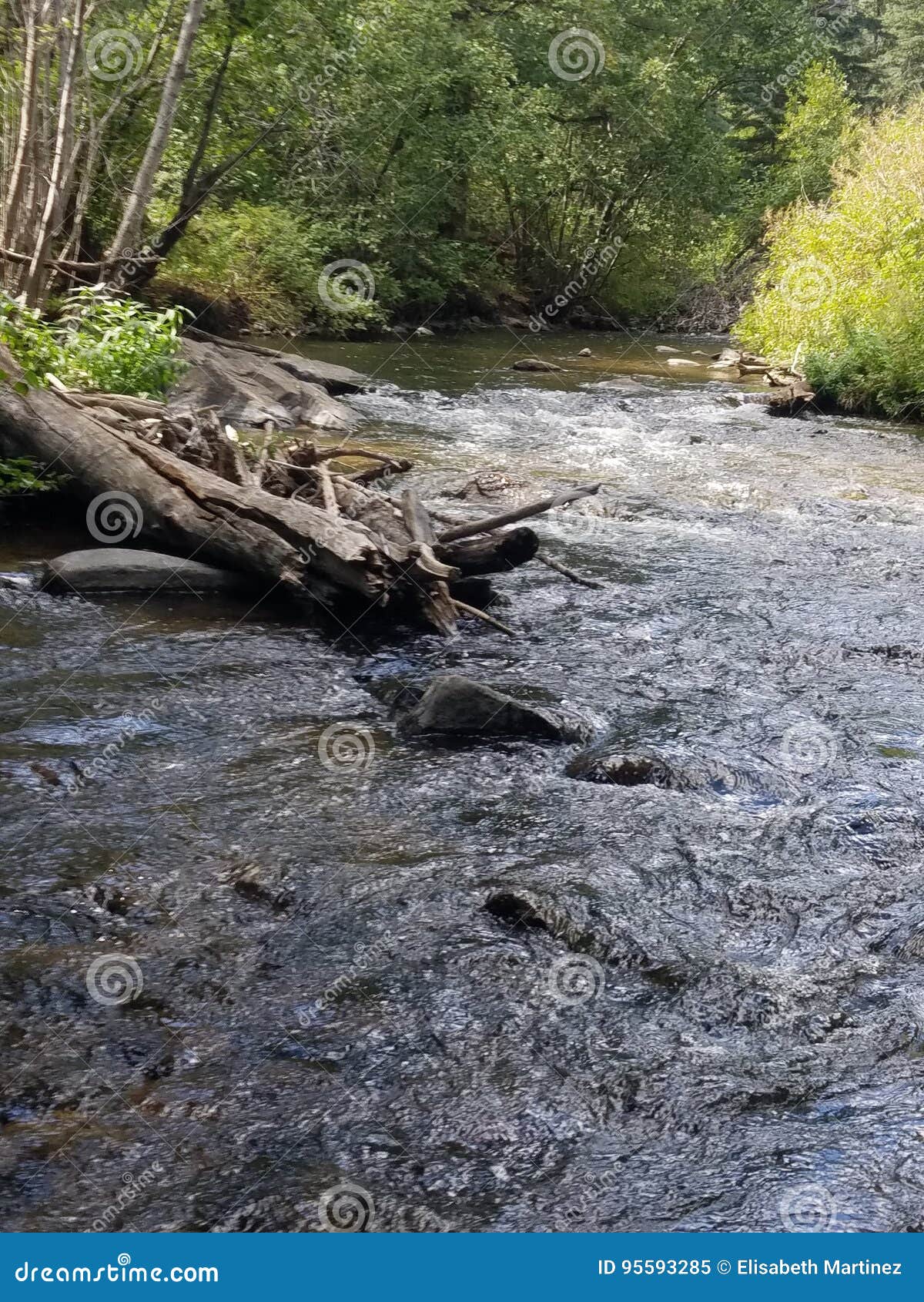 Cimarron Canyon stock image. Image of tributary, landscape - 95593285