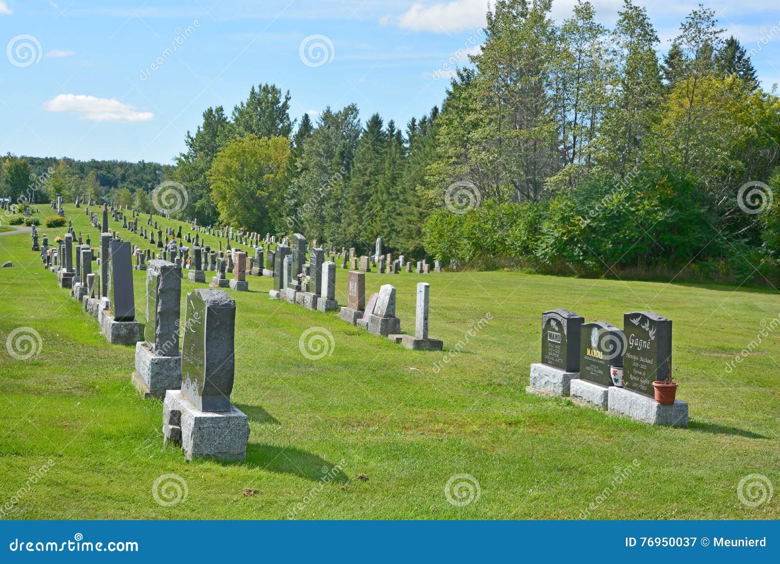 Cimetière de Waterloo photographie éditorial. Image du lames - 76950037