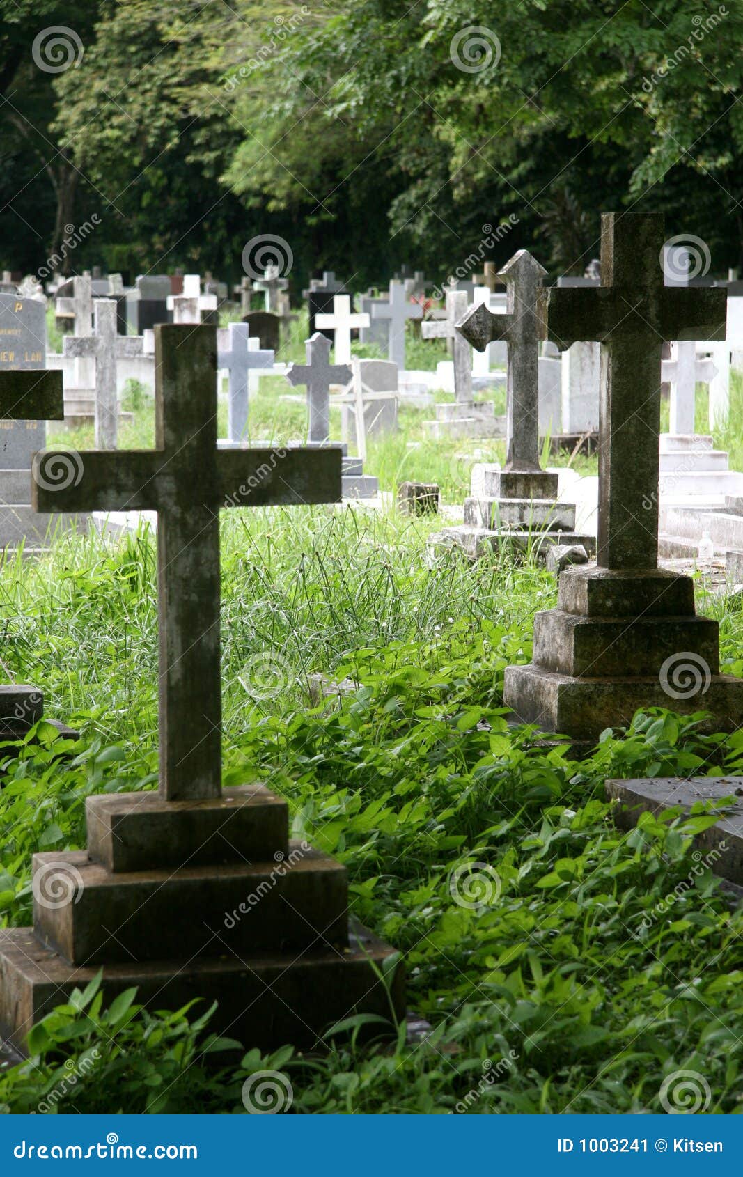 Cimitero Immagine. Immagine: 1003241