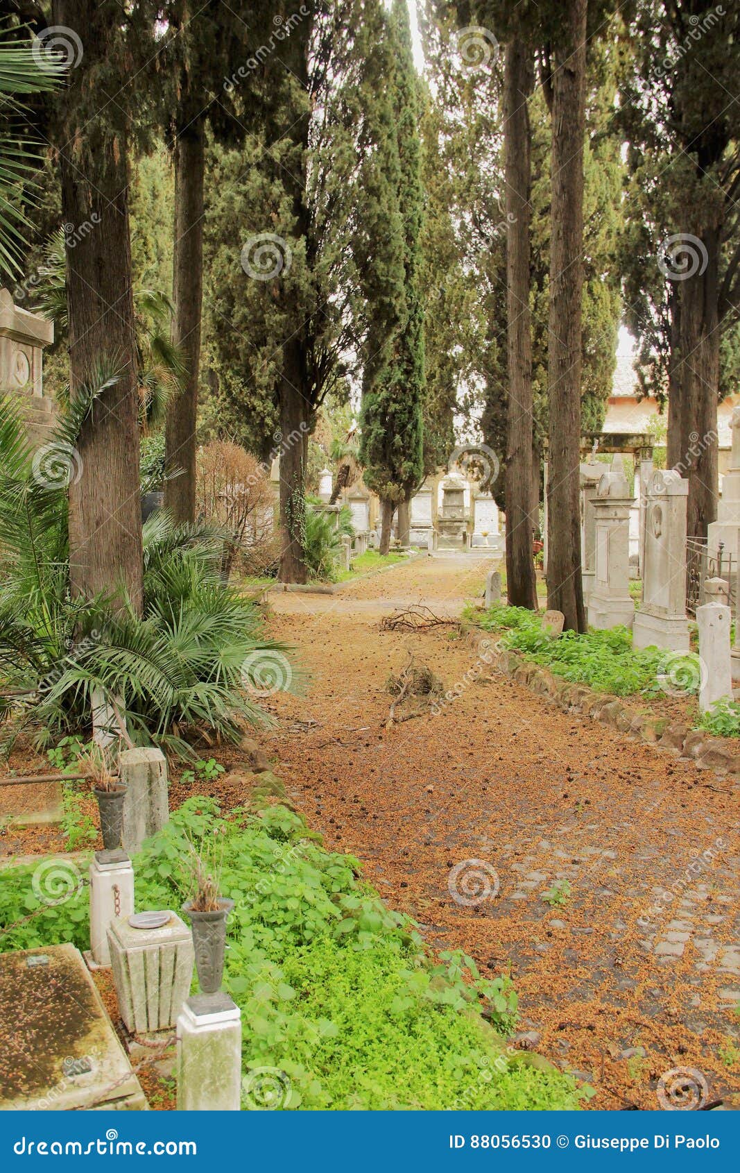 Cimitero Di Verano Del Campo a Roma Immagine Editoriale - Immagine di ...