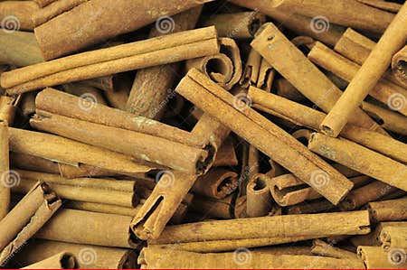 Cinamon stock image. Image of health, herbs, cinnamon - 28216875