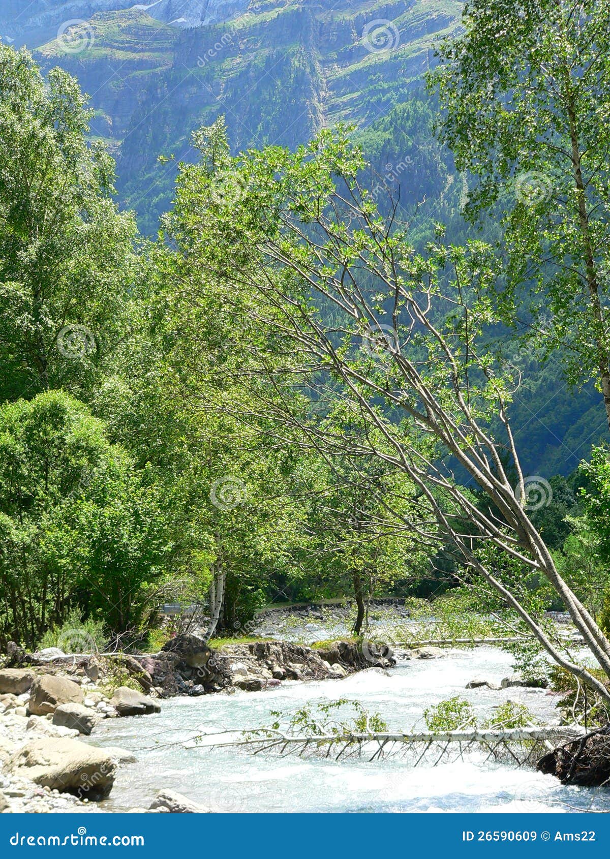 Cinca River, Huesca ( Spain ) Stock Image - Image of power, nature ...