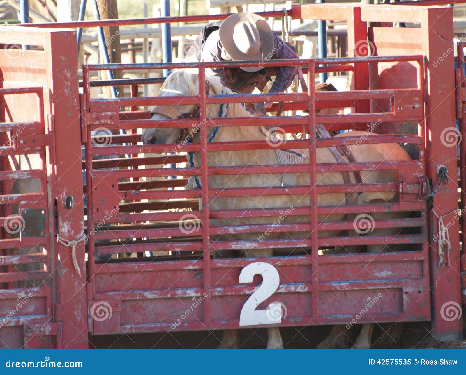 Cinching down editorial image. Image of prepares, rigging - 42575535