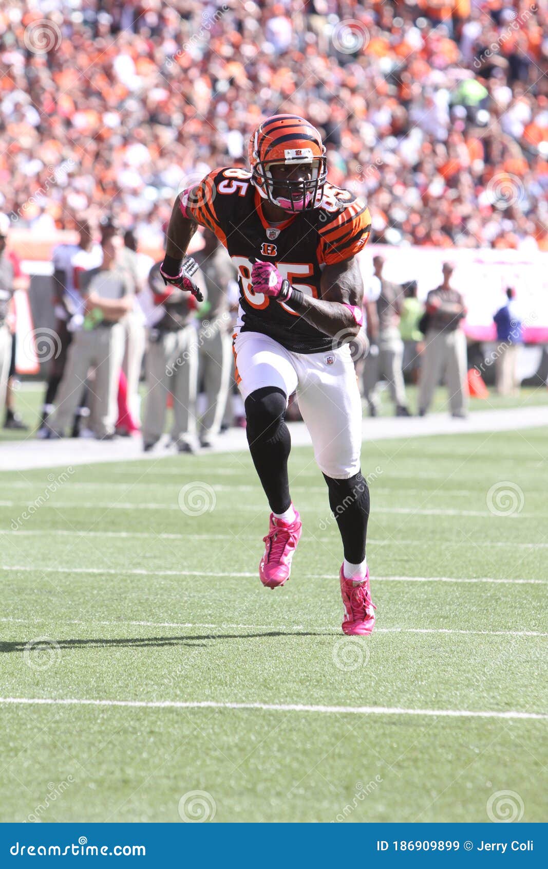 Chad Johnson editorial stock image. Image of johnson - 186909899