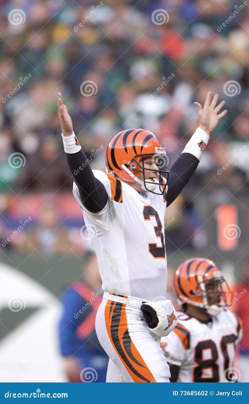 Cincinnati Bengals QB Jon Kitna. Editorial Photography - Image of ...