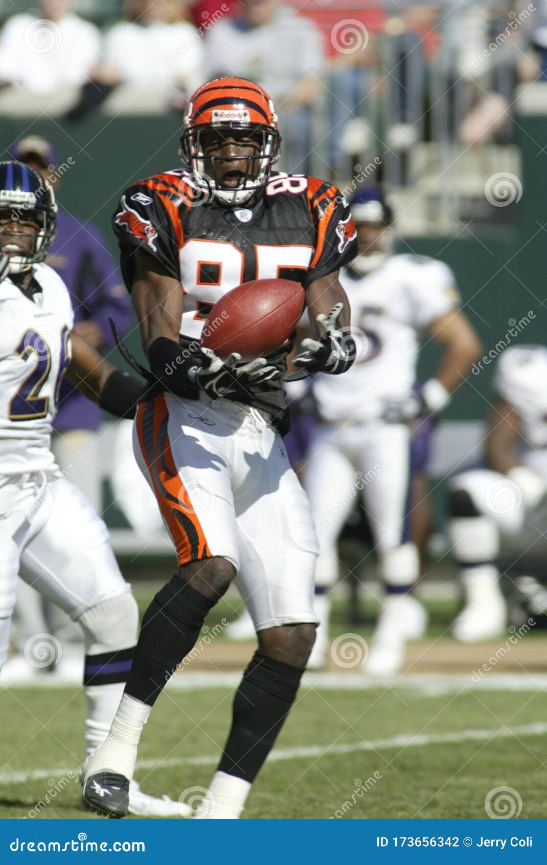 Chad Johnson editorial photography. Image of professional - 173656342