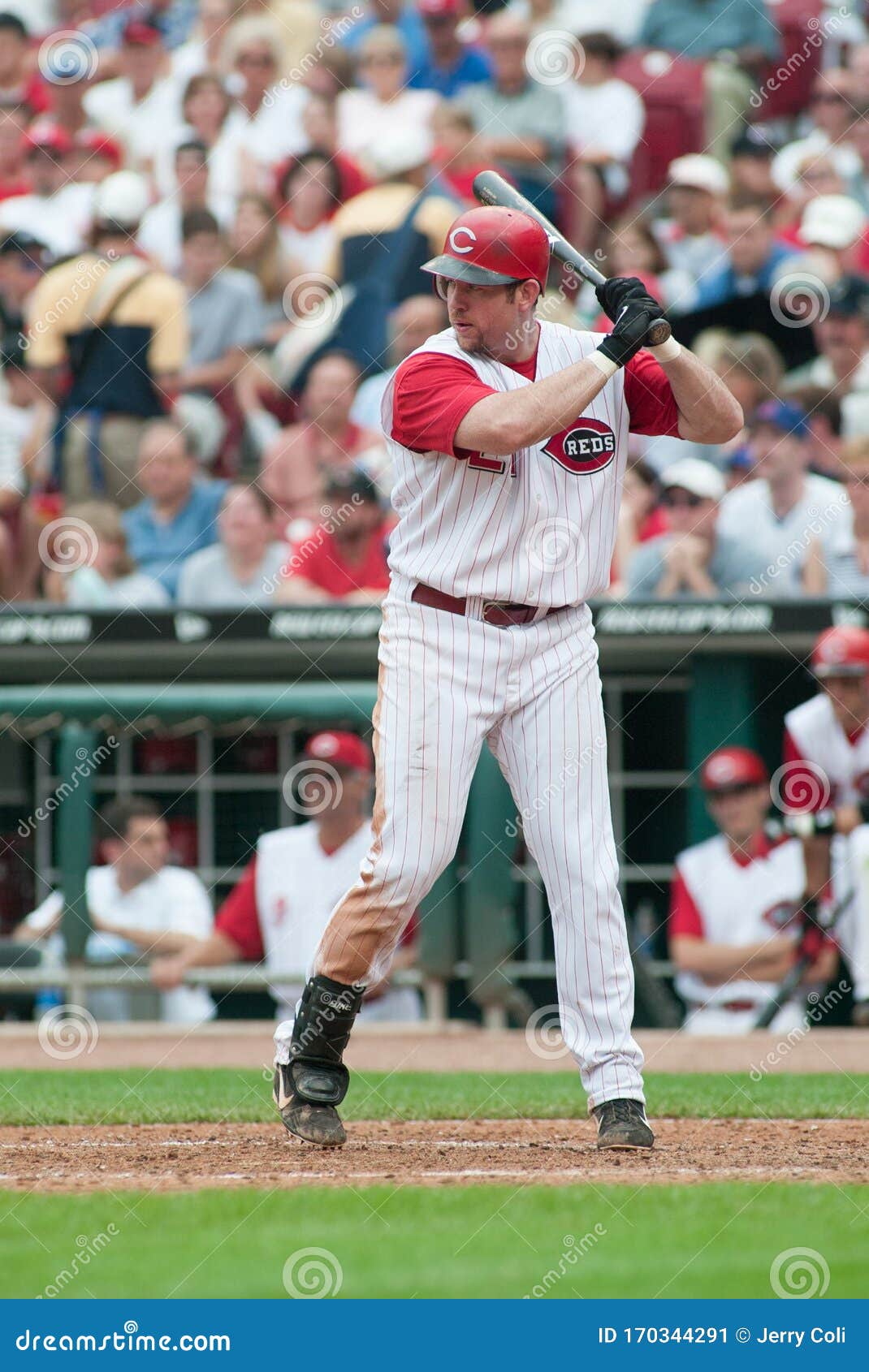 Sean Casey of the Cincinnati Reds Editorial Photo - Image of baseball ...