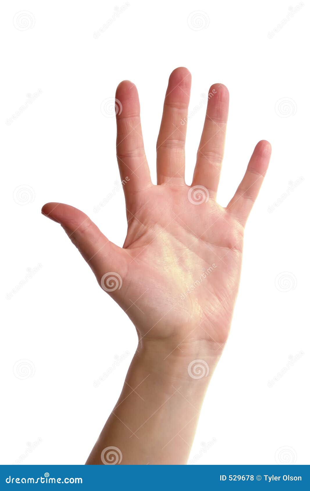 Cinco dedos foto de archivo. Imagen de dedo, lenguaje, comp - 529678