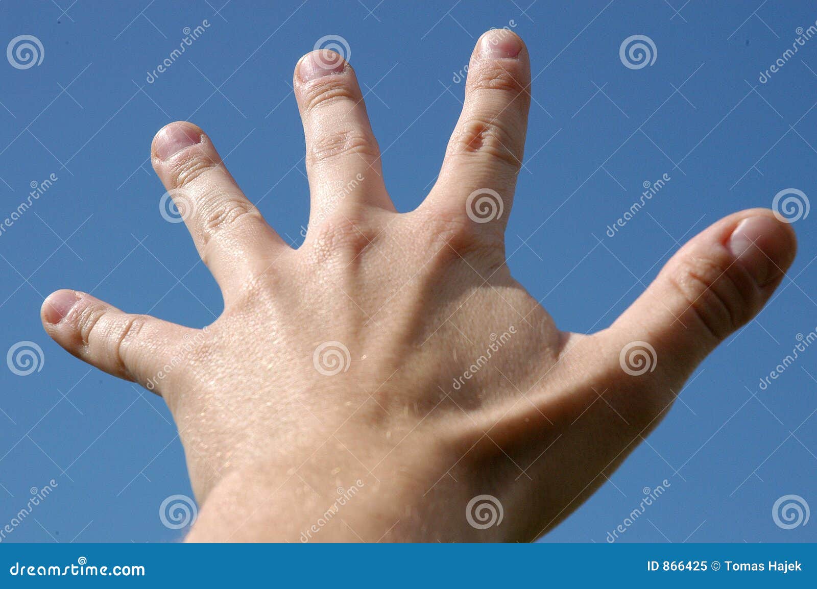 Cinco dedos imagem de stock. Imagem de dedos, cifra, contagem - 866425