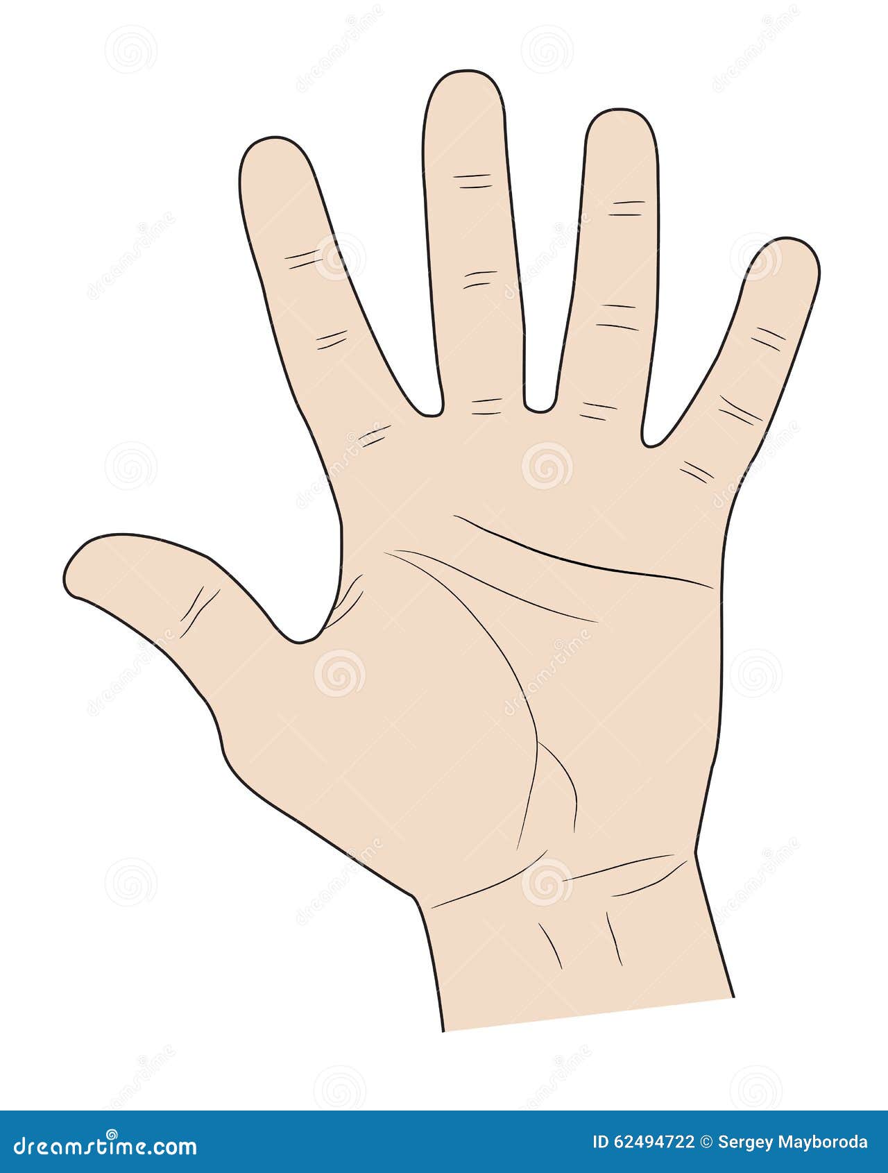 Cinco dedos de una mano ilustración del vector. Ilustración de escuela ...