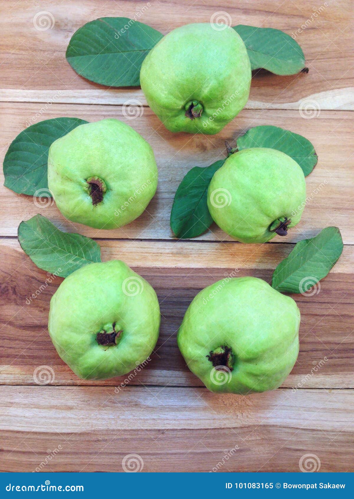 Cinco guayaba verde o imagen de archivo. Imagen de sano - 101083165
