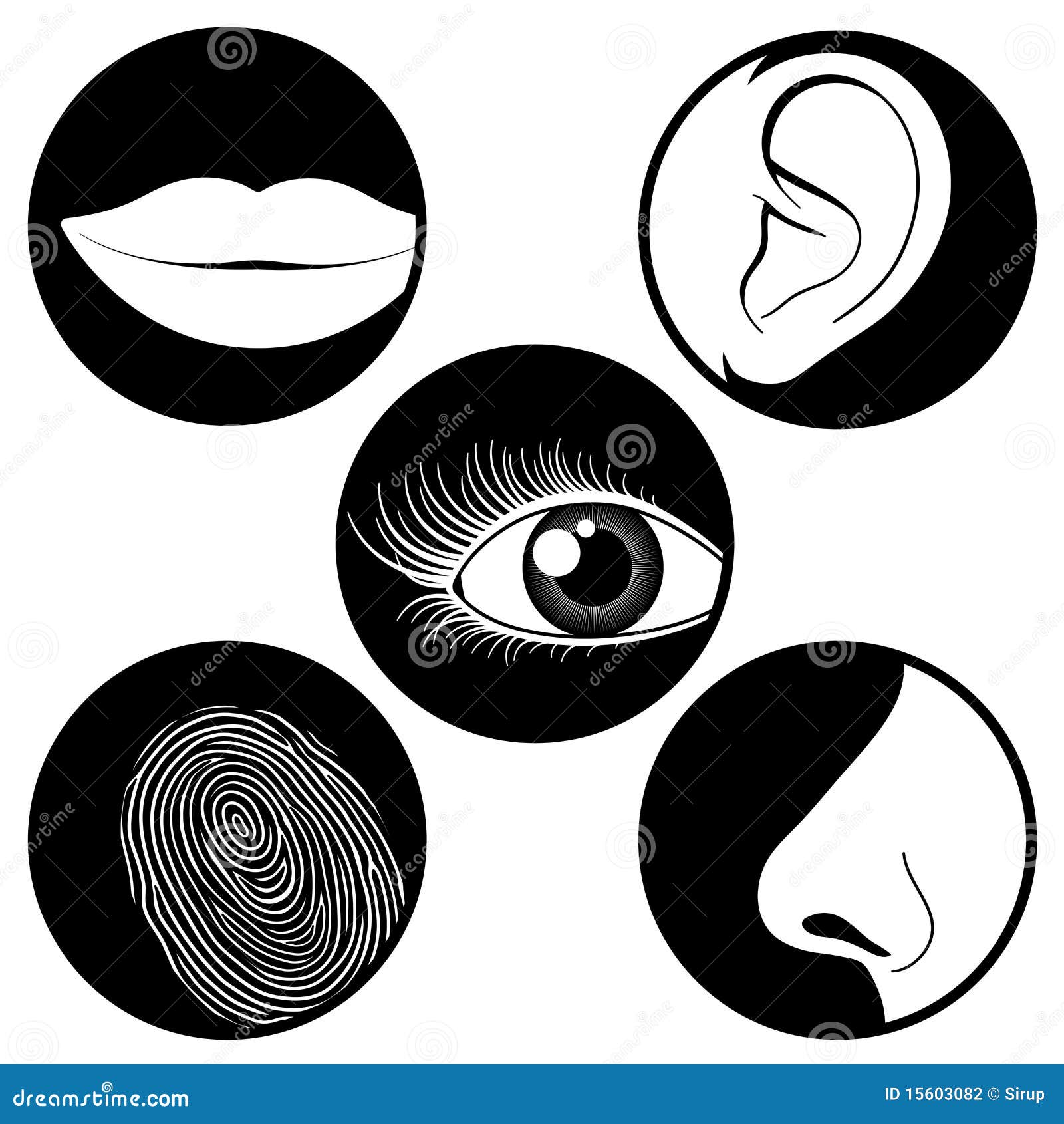 Cinco Iconos De Los Sentidos Ilustración del Vector - Ilustración de ...