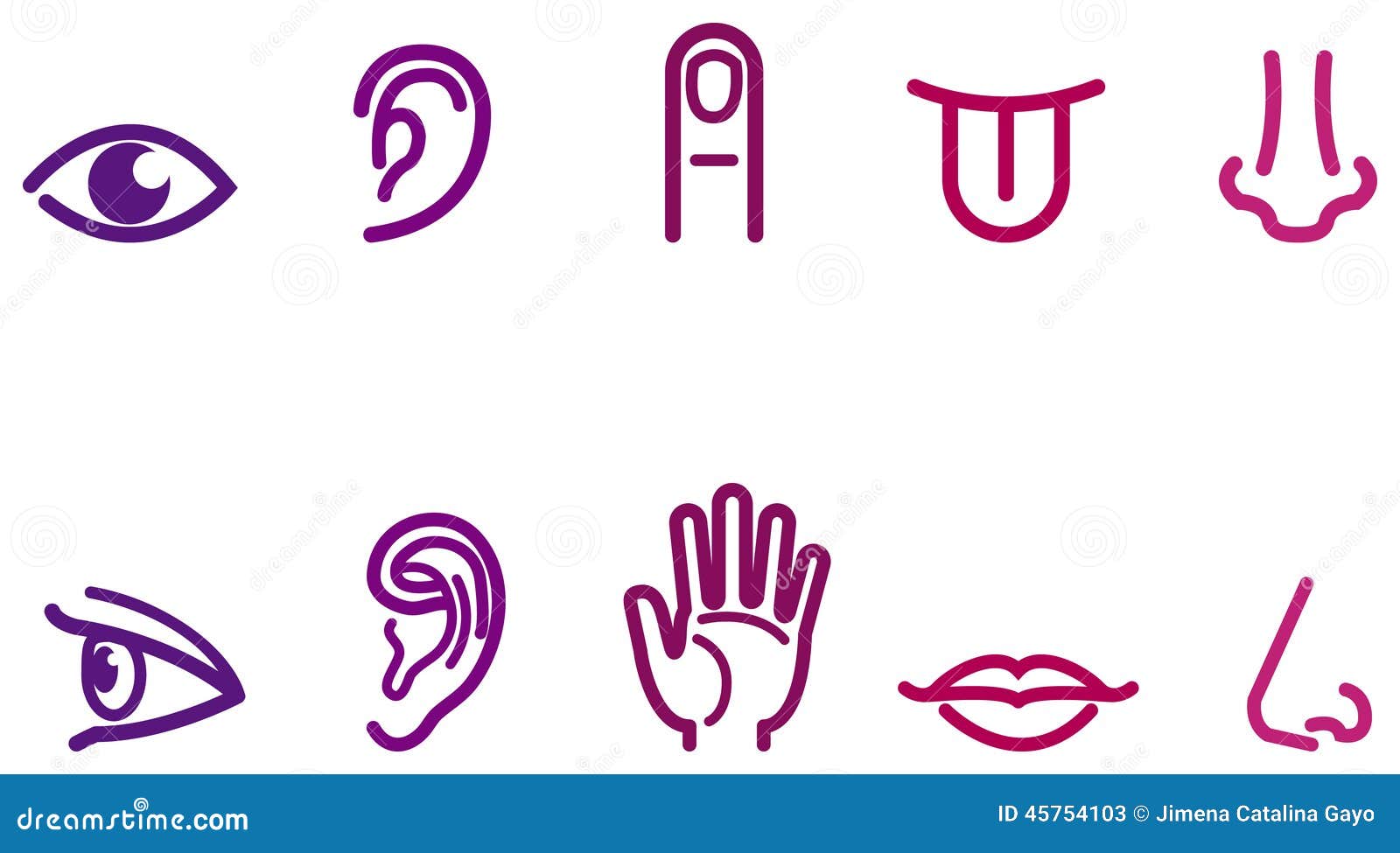 Cinco Iconos De Los Sentidos Stock de ilustración - Ilustración de ...