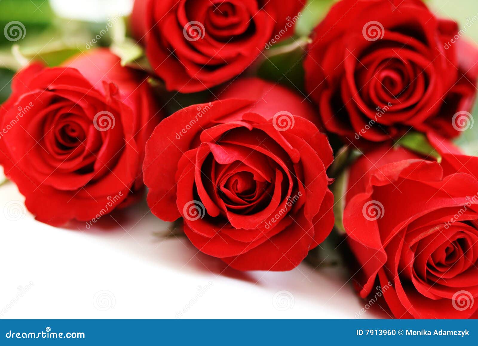 Cinco rosas foto de archivo. Imagen de ramo, rosa, sencillo - 7913960