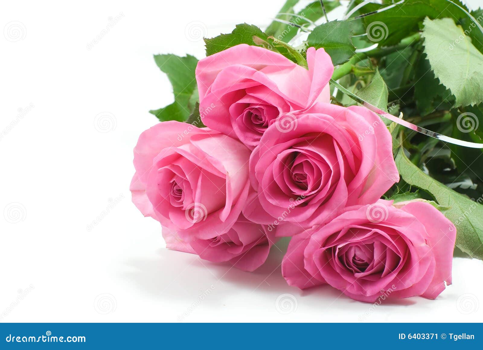 Cinco rosas rosadas imagen de archivo. Imagen de cinta - 6403371