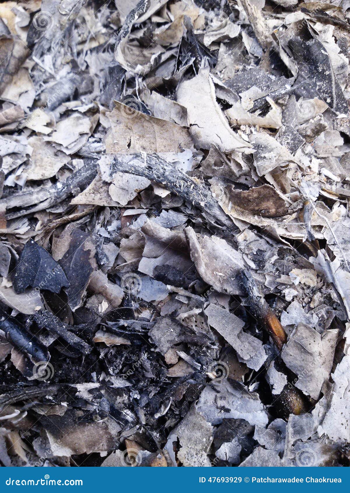 Cinder stock image. Image of cinder, camping, burning - 47693929