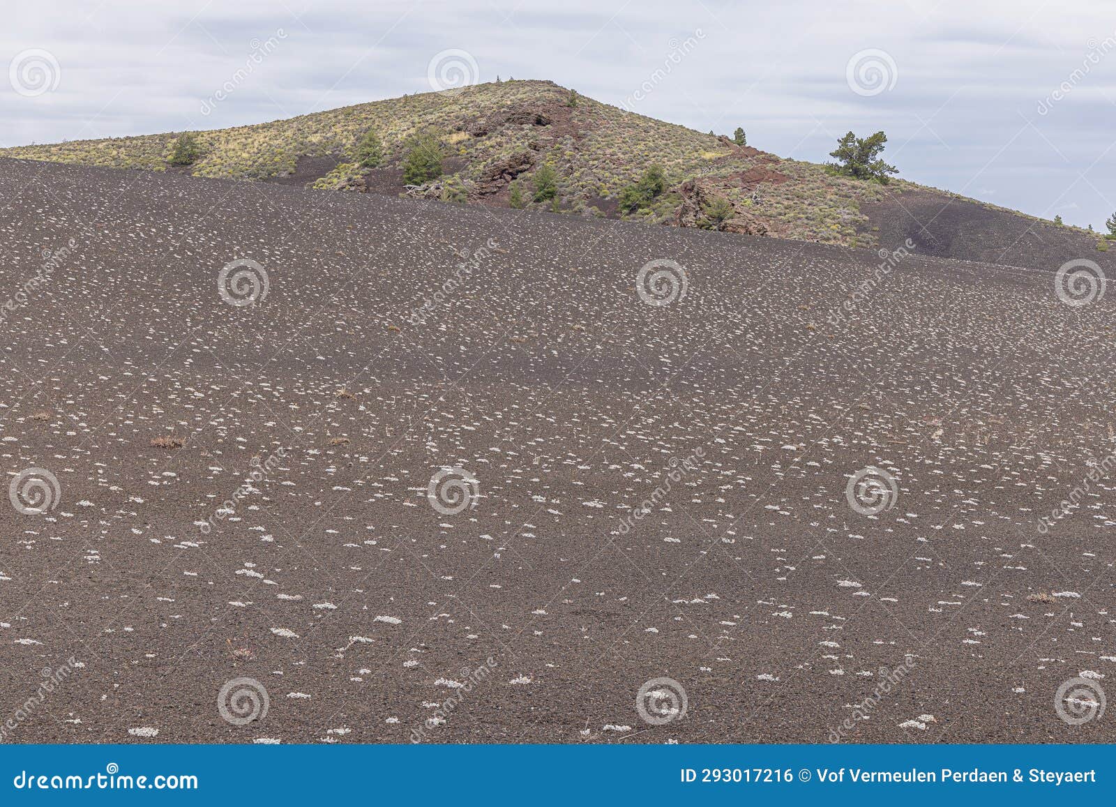A cinder cone with lichen stock photo. Image of hotspot - 293017216