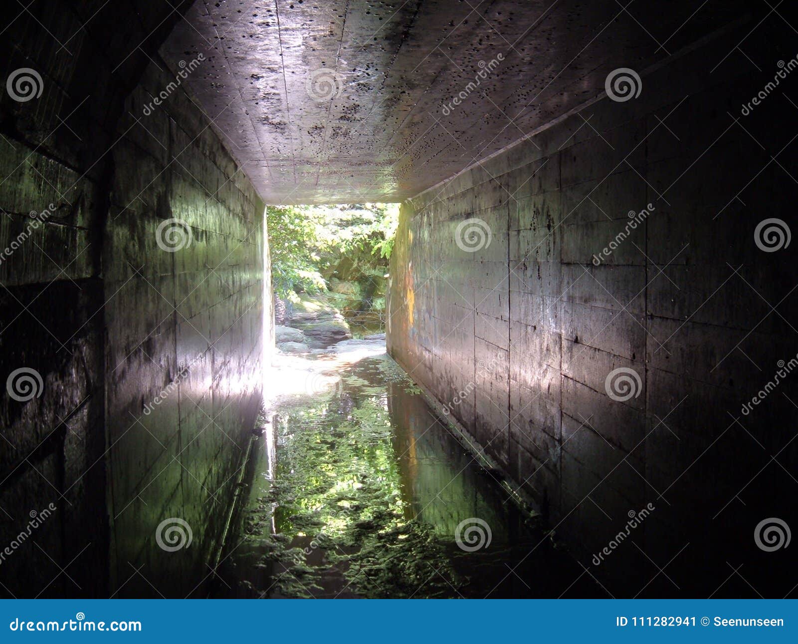Cinderblock Tunnel stock image. Image of woods, cinderblocks - 111282941