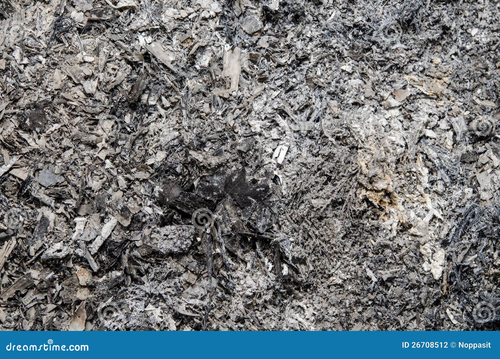 Cinders in an extinct fire stock photo. Image of evaporation - 26708512