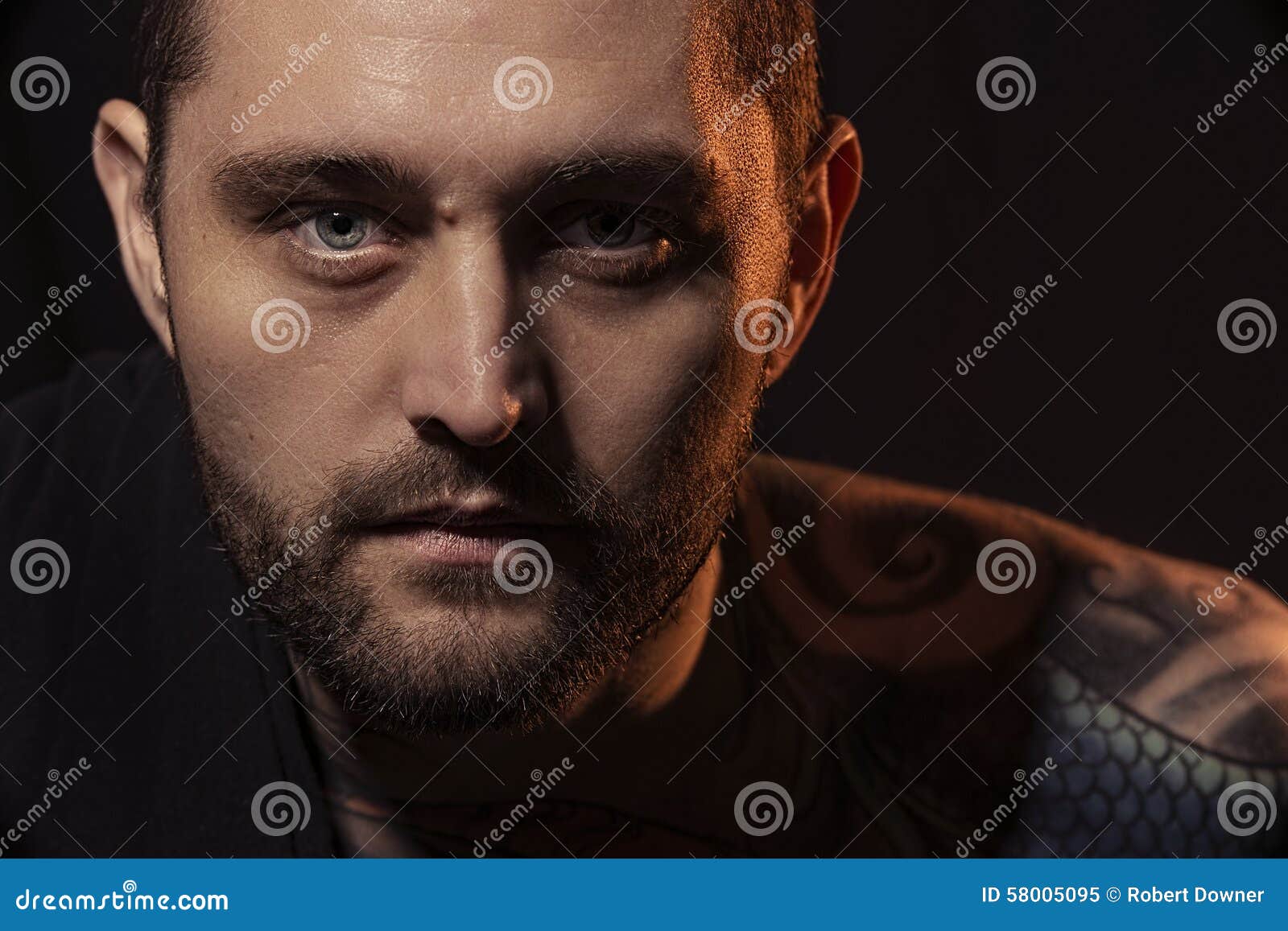 Cinematic Style Studio Portrait of a Man Stock Image - Image of studio ...