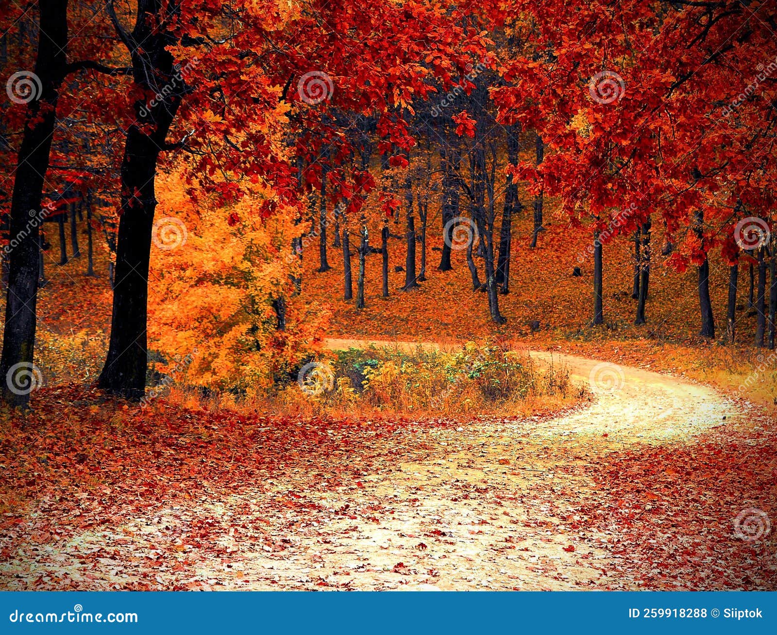 Tree Leaves Fall in the Beautiful Season Stock Photo - Image of trip ...