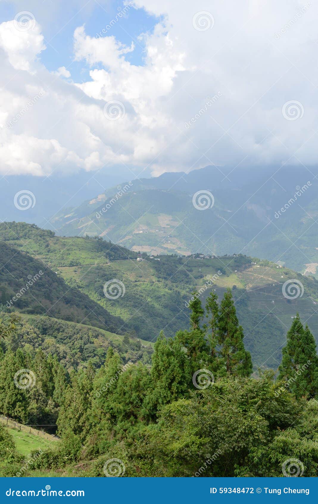 Cing Jing farm in Taiwan stock photo. Image of hill, farming - 59348472