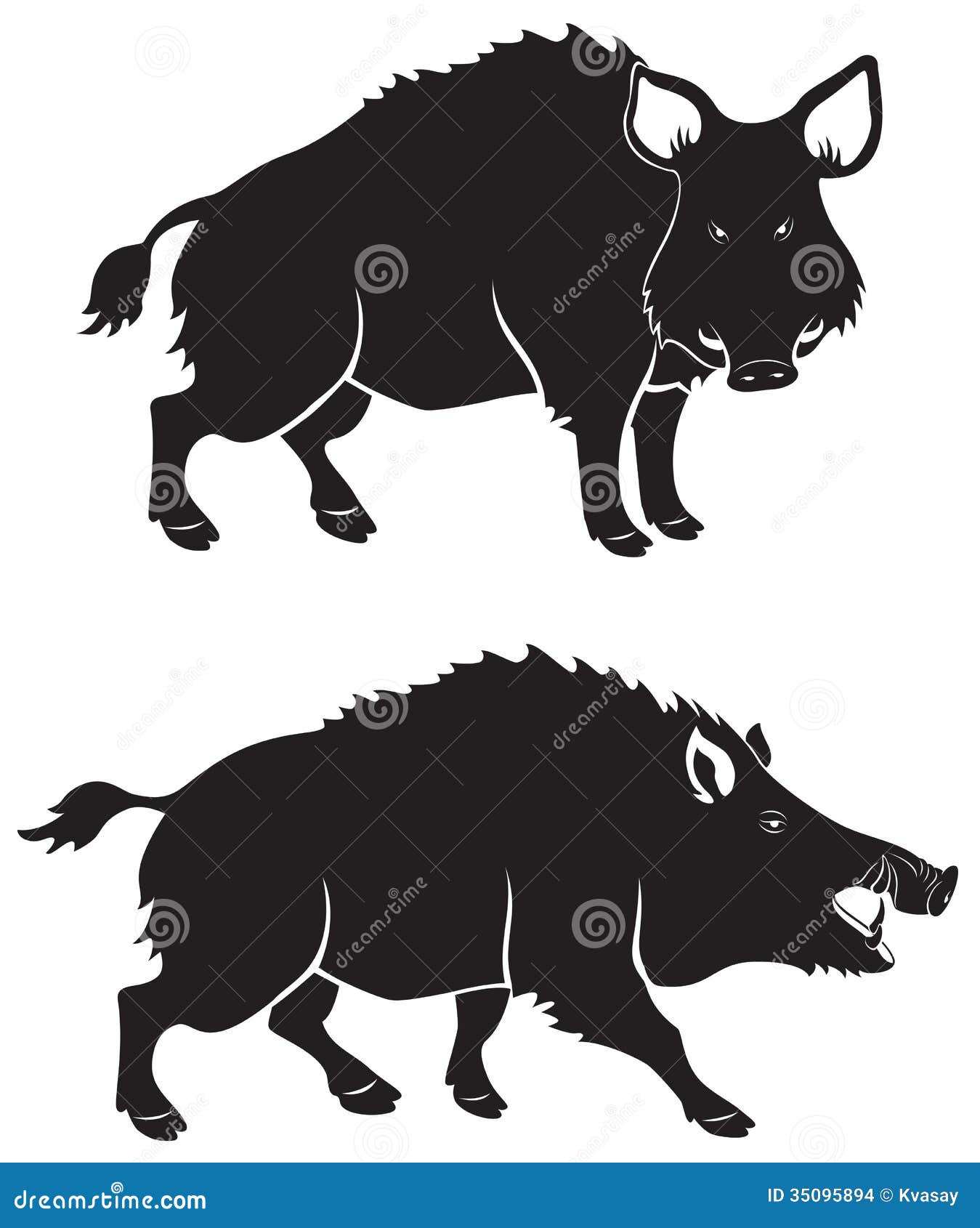 Cinghiale illustrazione vettoriale. Illustrazione di animale - 35095894