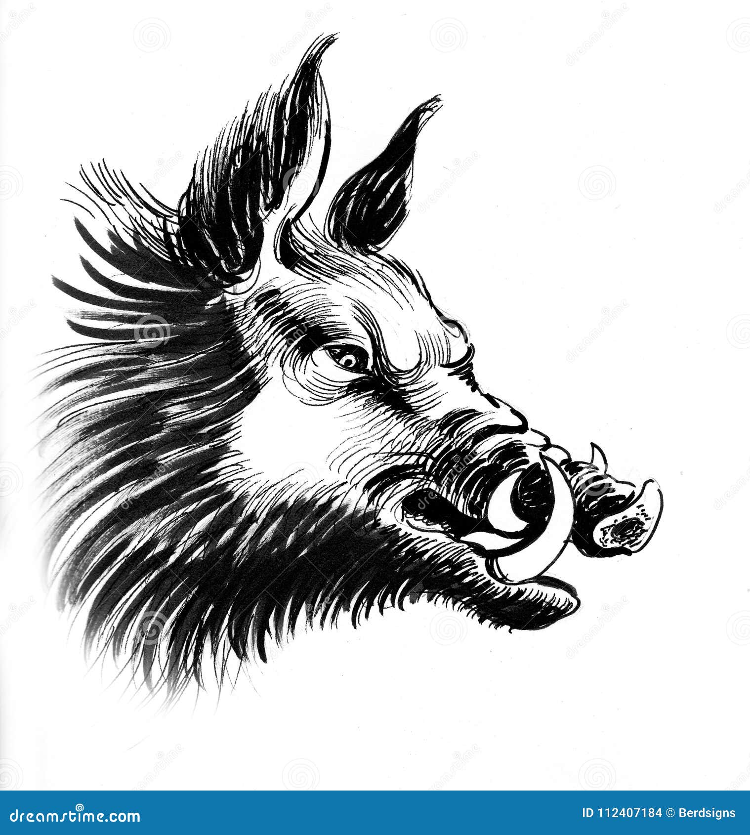 Cinghiale arrabbiato illustrazione di stock. Illustrazione di ...