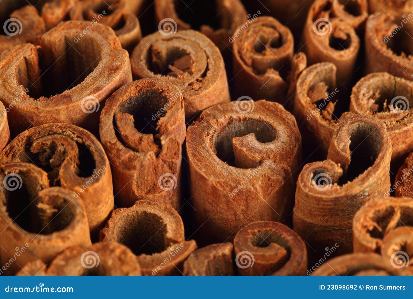 Cinnamon background stock photo. Image of sticks, stick - 23098692