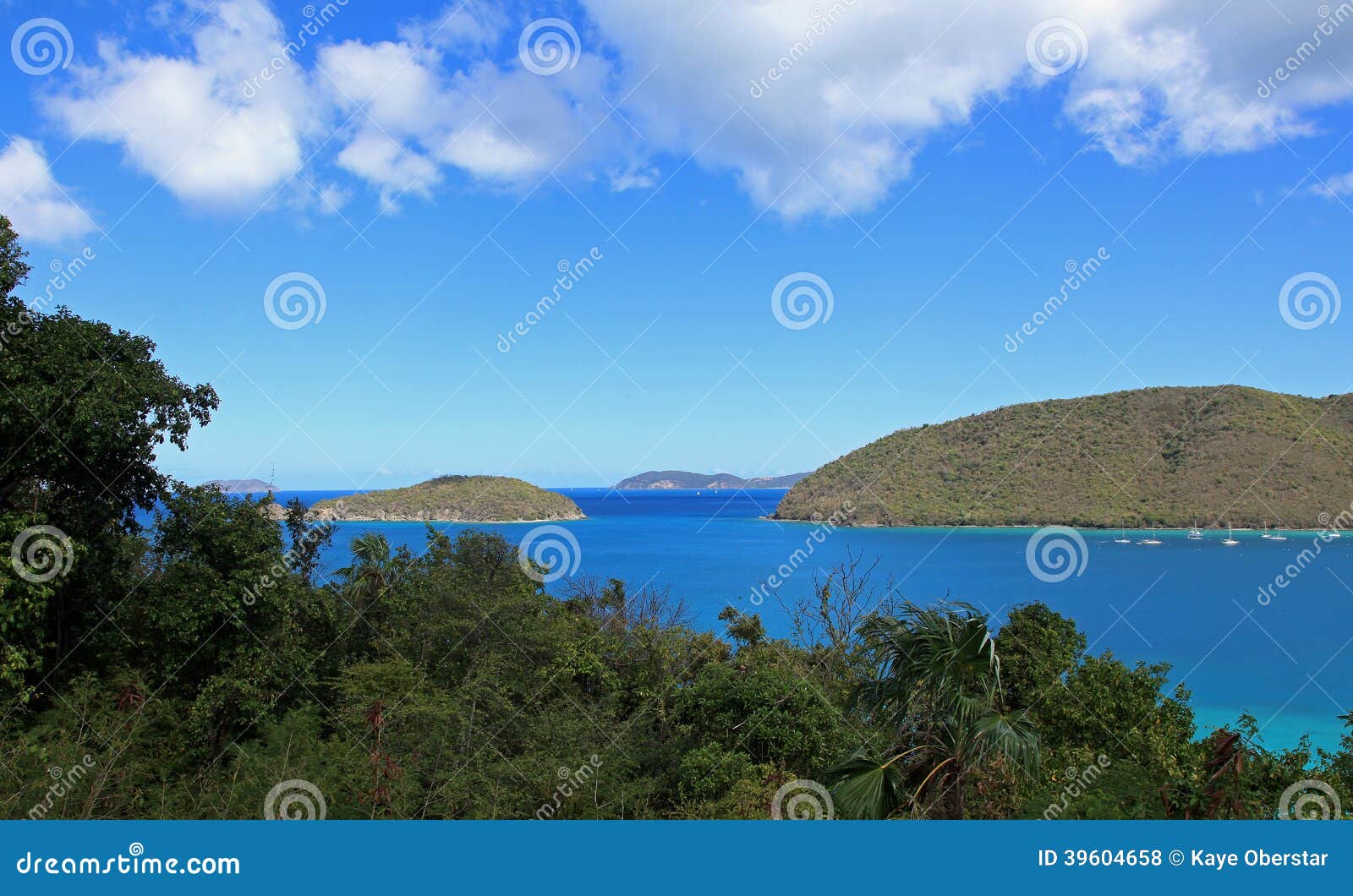 311 Cinnamon Point Stock Photos - Free & Royalty-Free Stock Photos from ...
