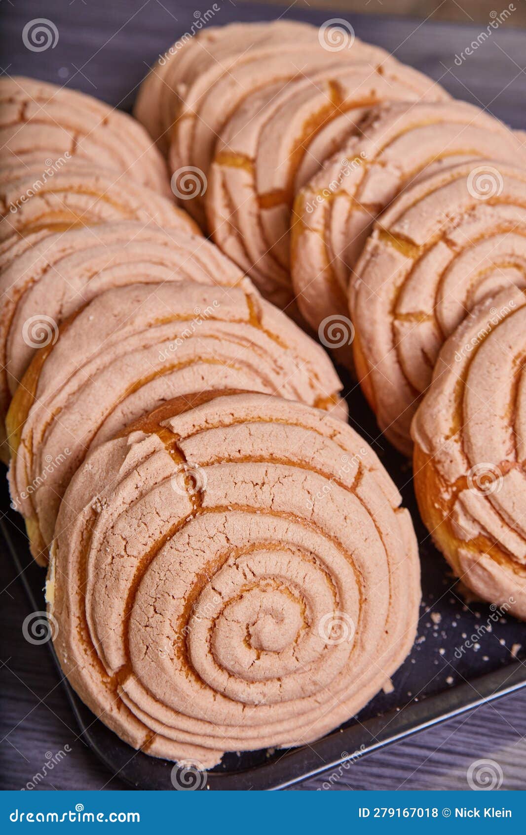 Cinnamon Bread Conchas Mexican Sweet Bread Baked Goods on Tray Stock ...