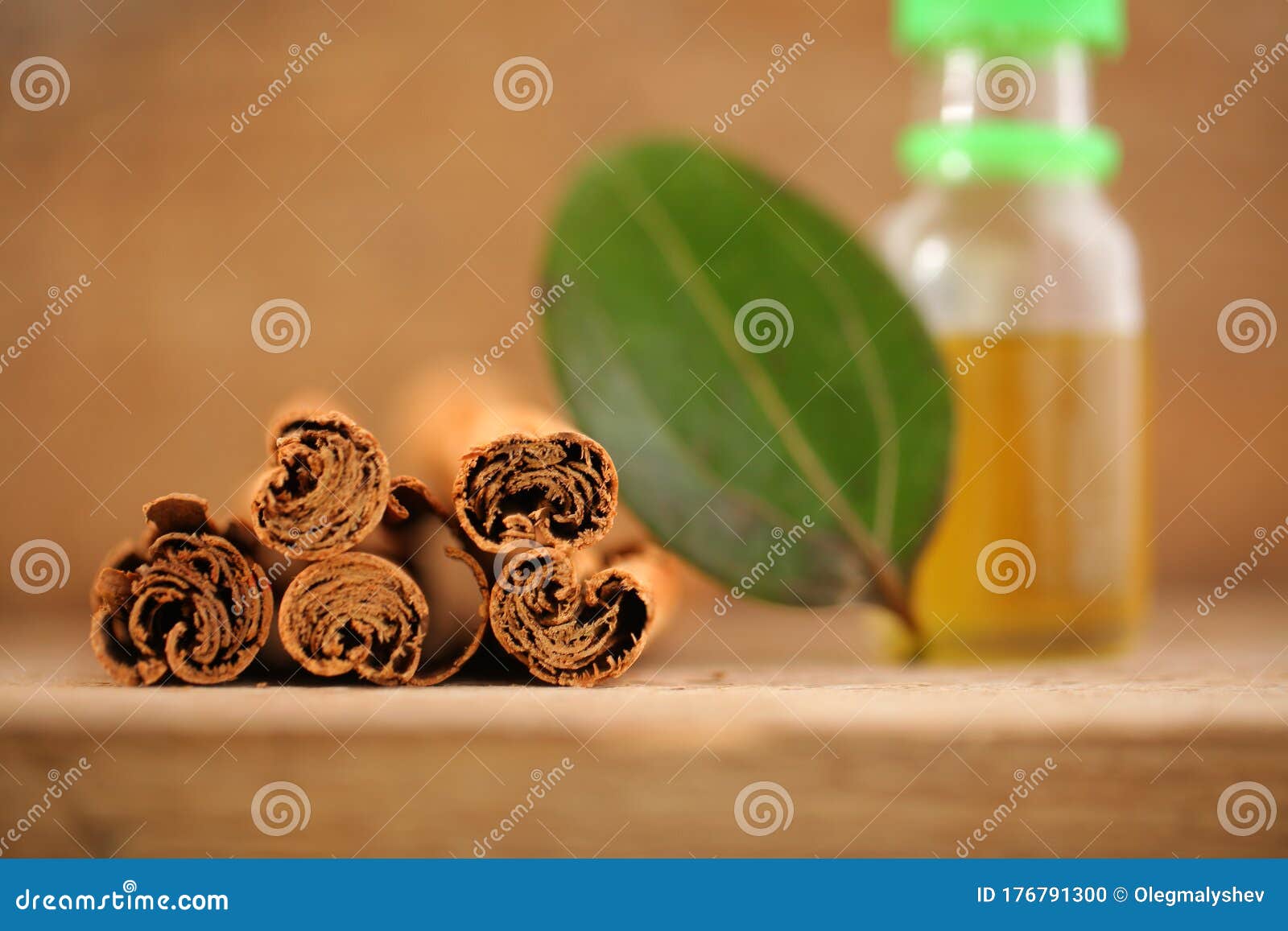 Bark And Essential Extract Of Medicinal Plant Cat's Claw, Uncaria ...