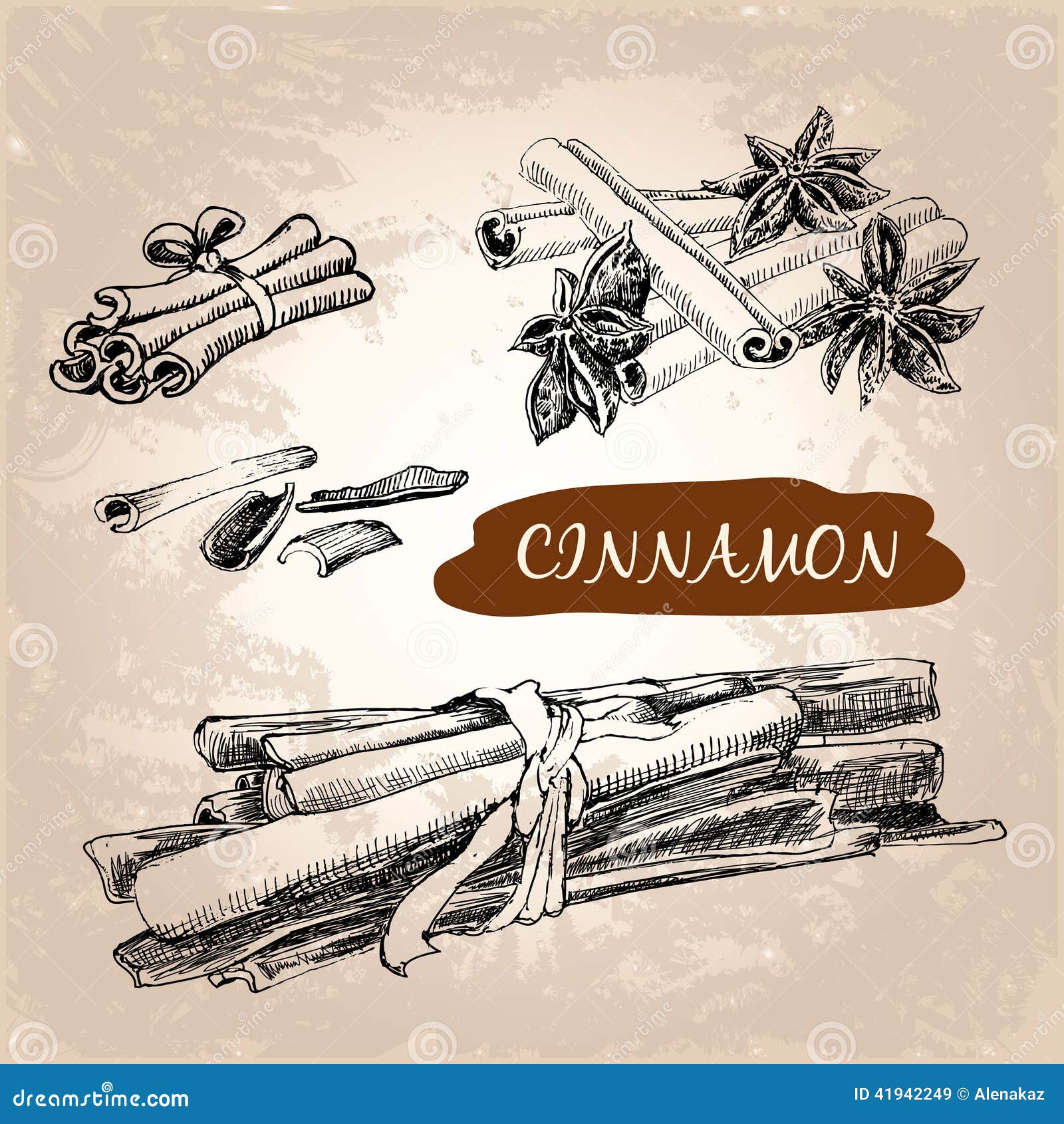 Cinnamon stock vector. Illustration of drawing, gourmet - 41942249