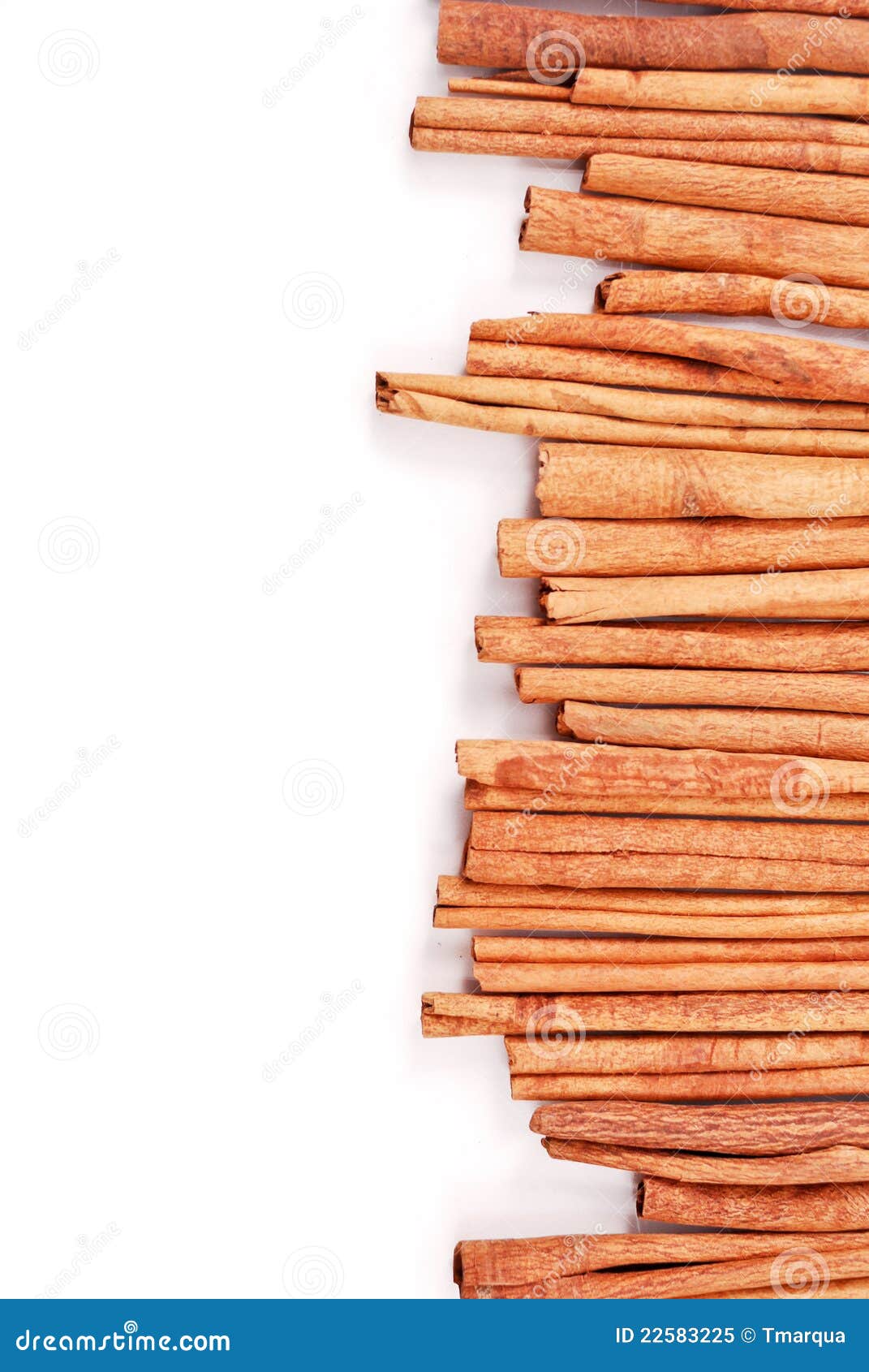 Cinnamon Side Border stock image. Image of organic, dish - 22583225