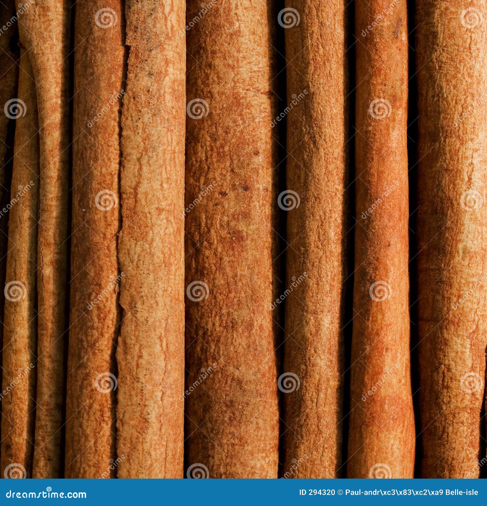 Cinnamon stick stock photo. Image of kitchen, seasoning - 294320