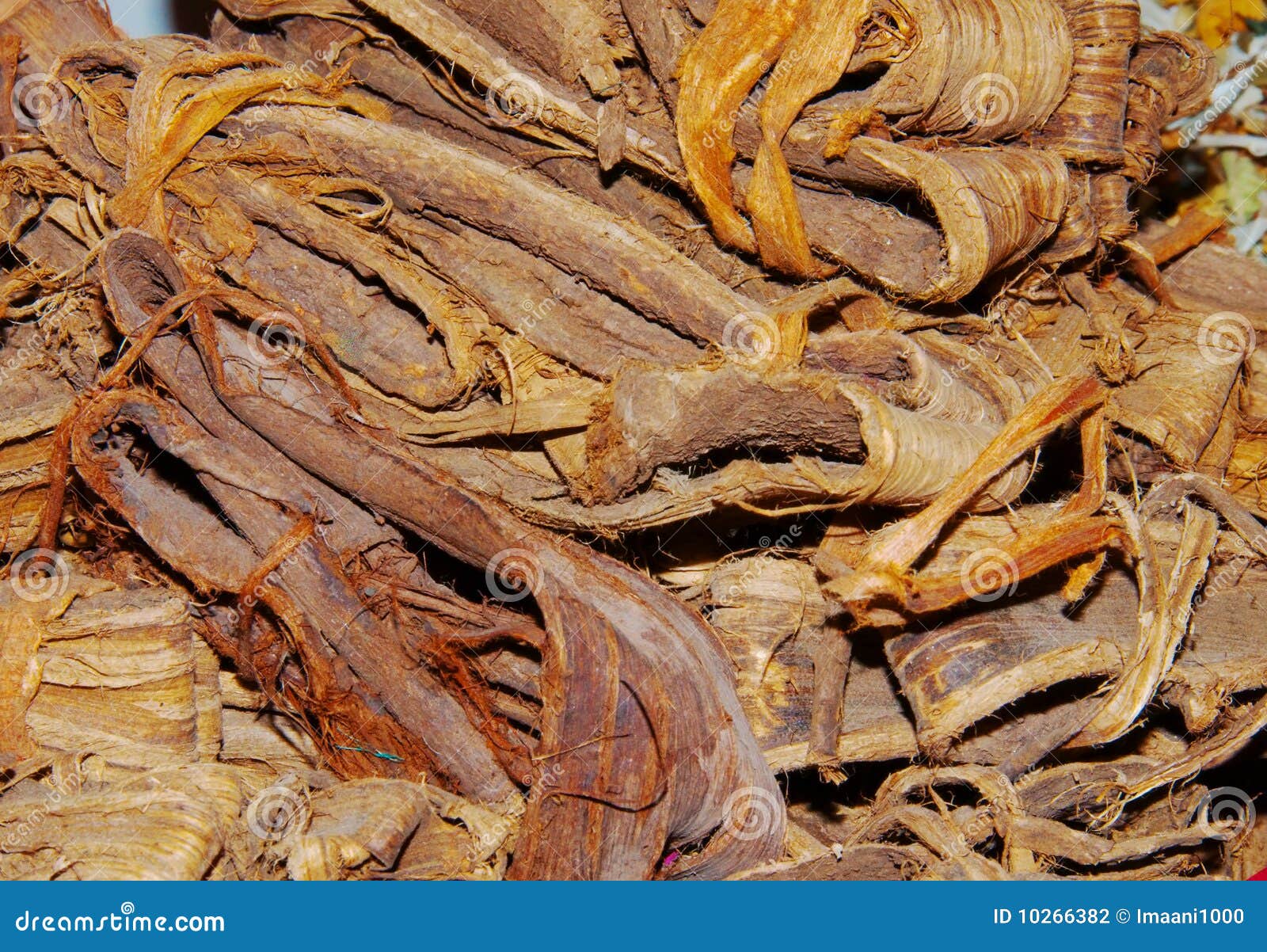 Cinnamon Stick Spices stock photo. Image of spices, spice - 10266382