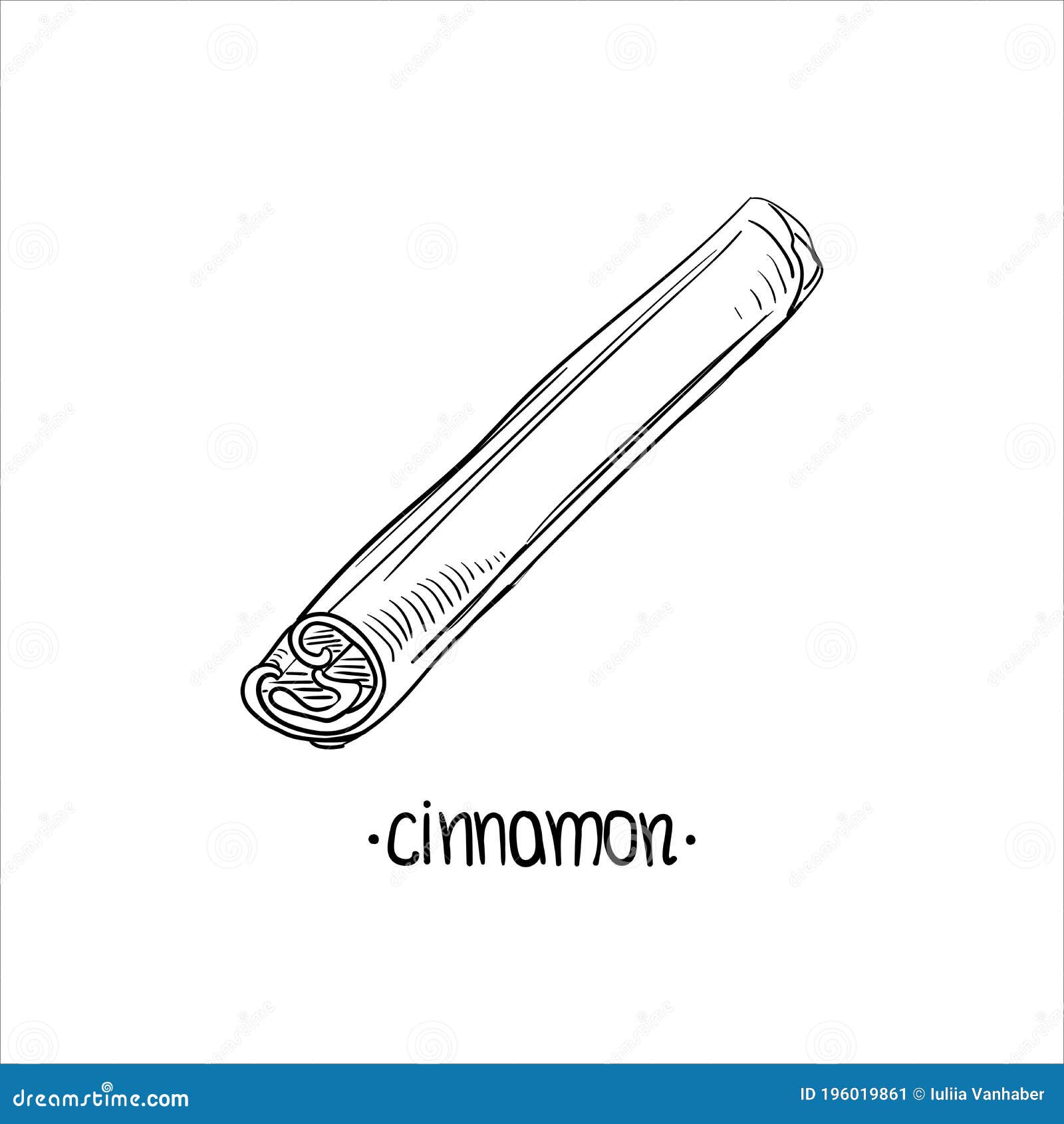 Cinnamon Stick Vector Illustration Isolated on White Background. Stock ...